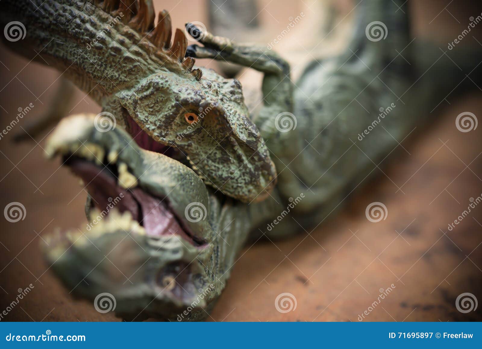 Allosaurus Biting Tyrannosaurus Stock Image - Image of colossal ...