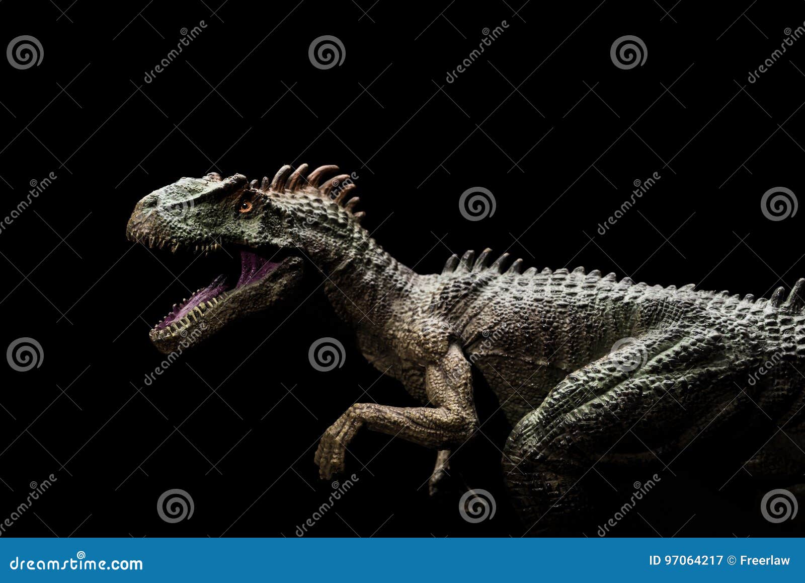 Restoration Of An Allosaurus (Allosaurus Fragilis) Dinosaur Isolated ...
