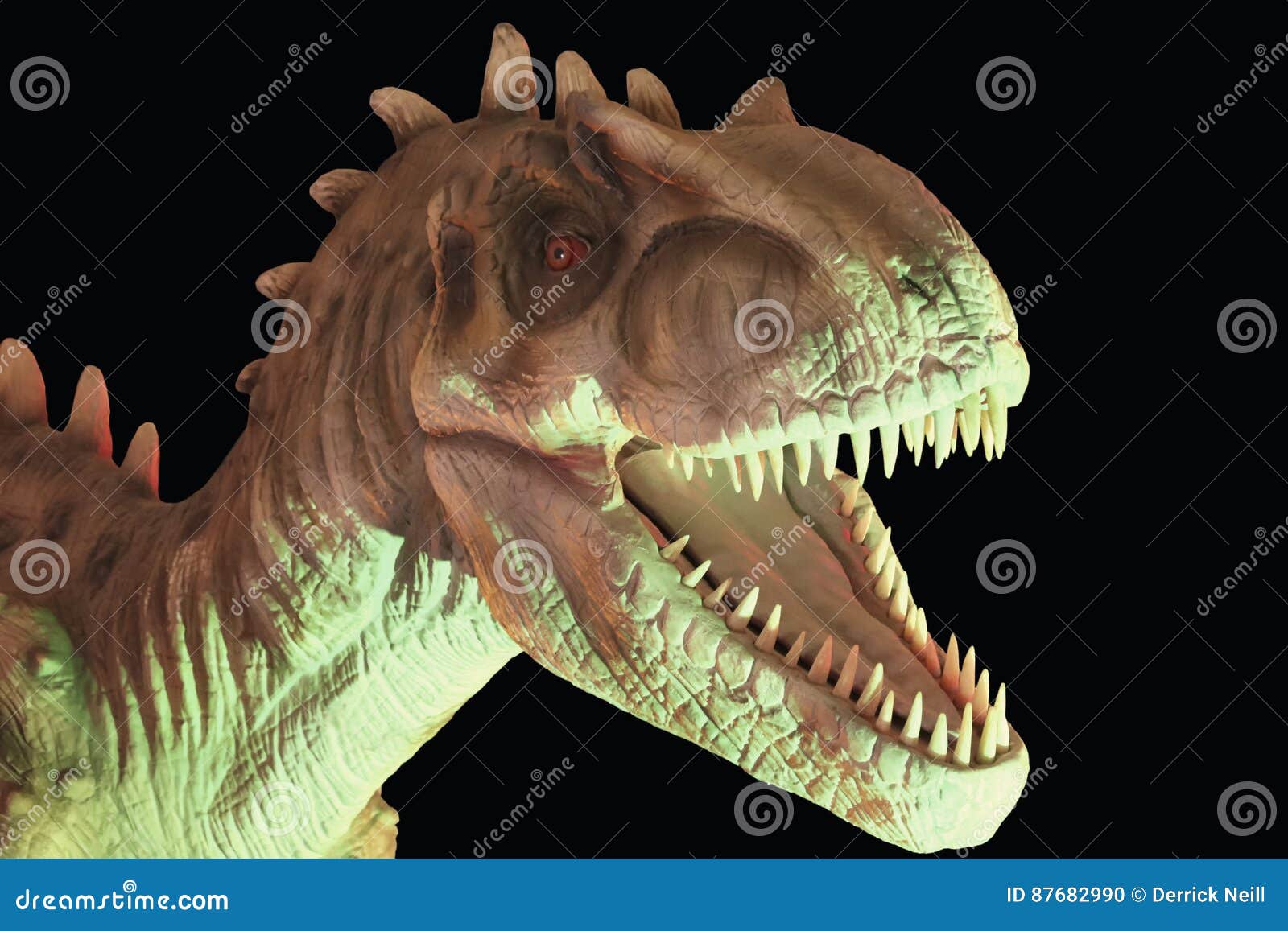 An Allosaurus Dinosaur Against a Black Background Stock Photo - Image ...