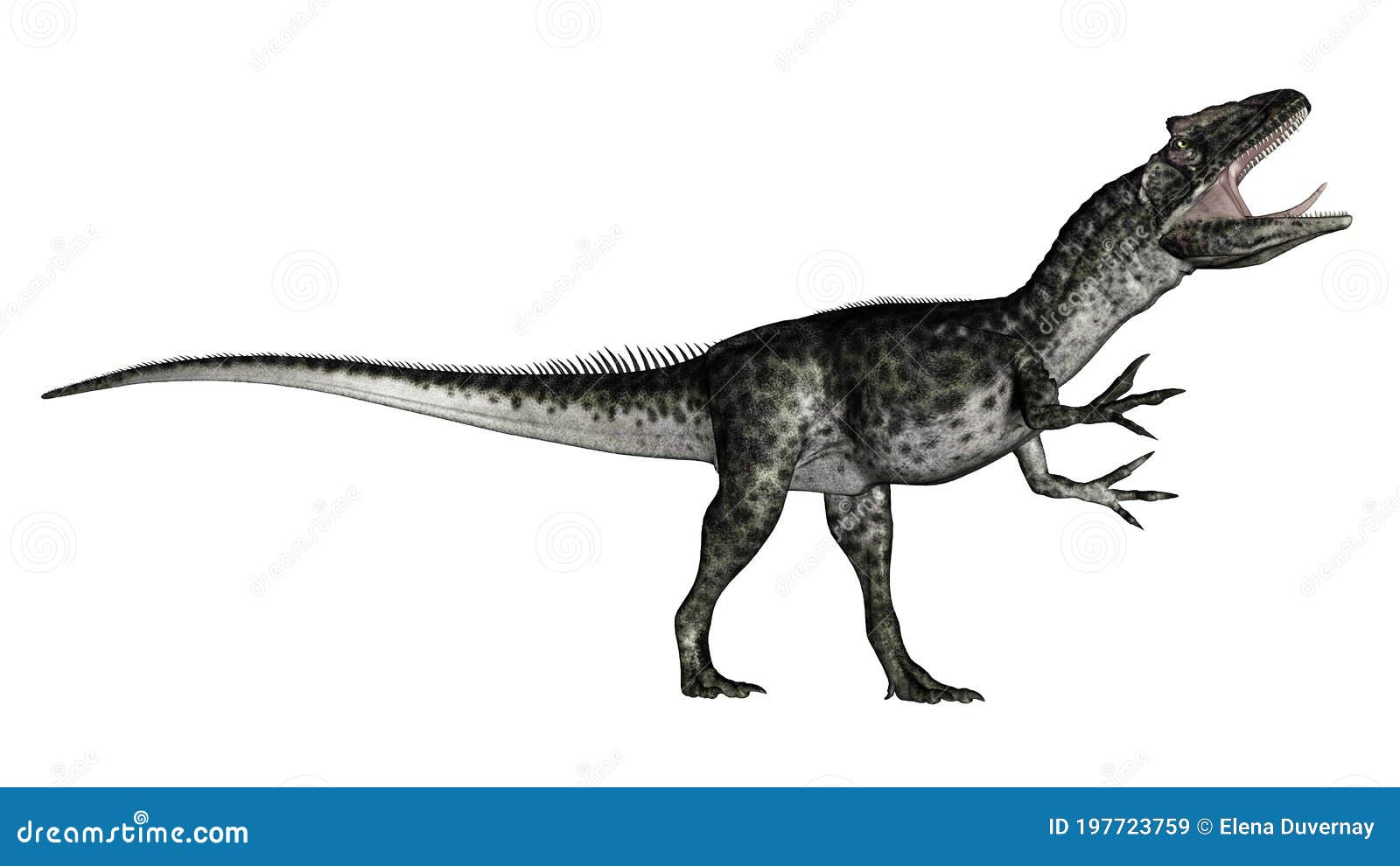 Allosaurus Dinosaur Roaring - 3D Render Stock Illustration ...