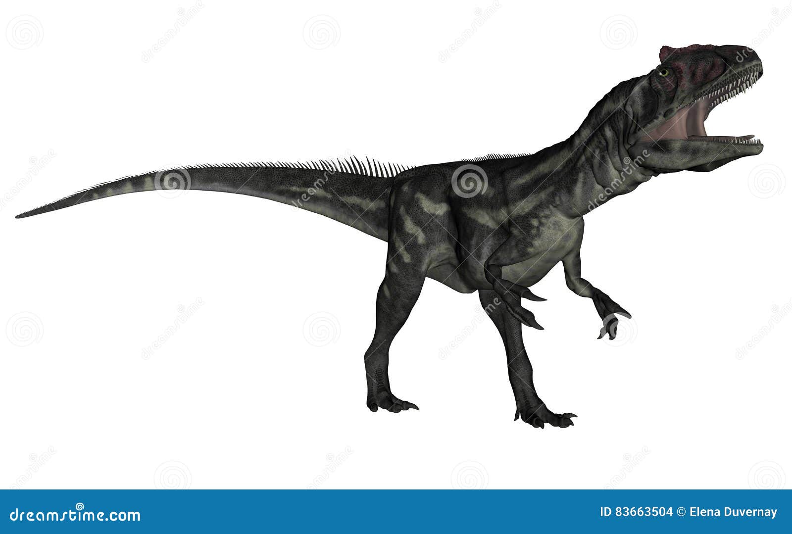 Allosaurus Dinosaur Roaring - 3D Render Stock Illustration ...