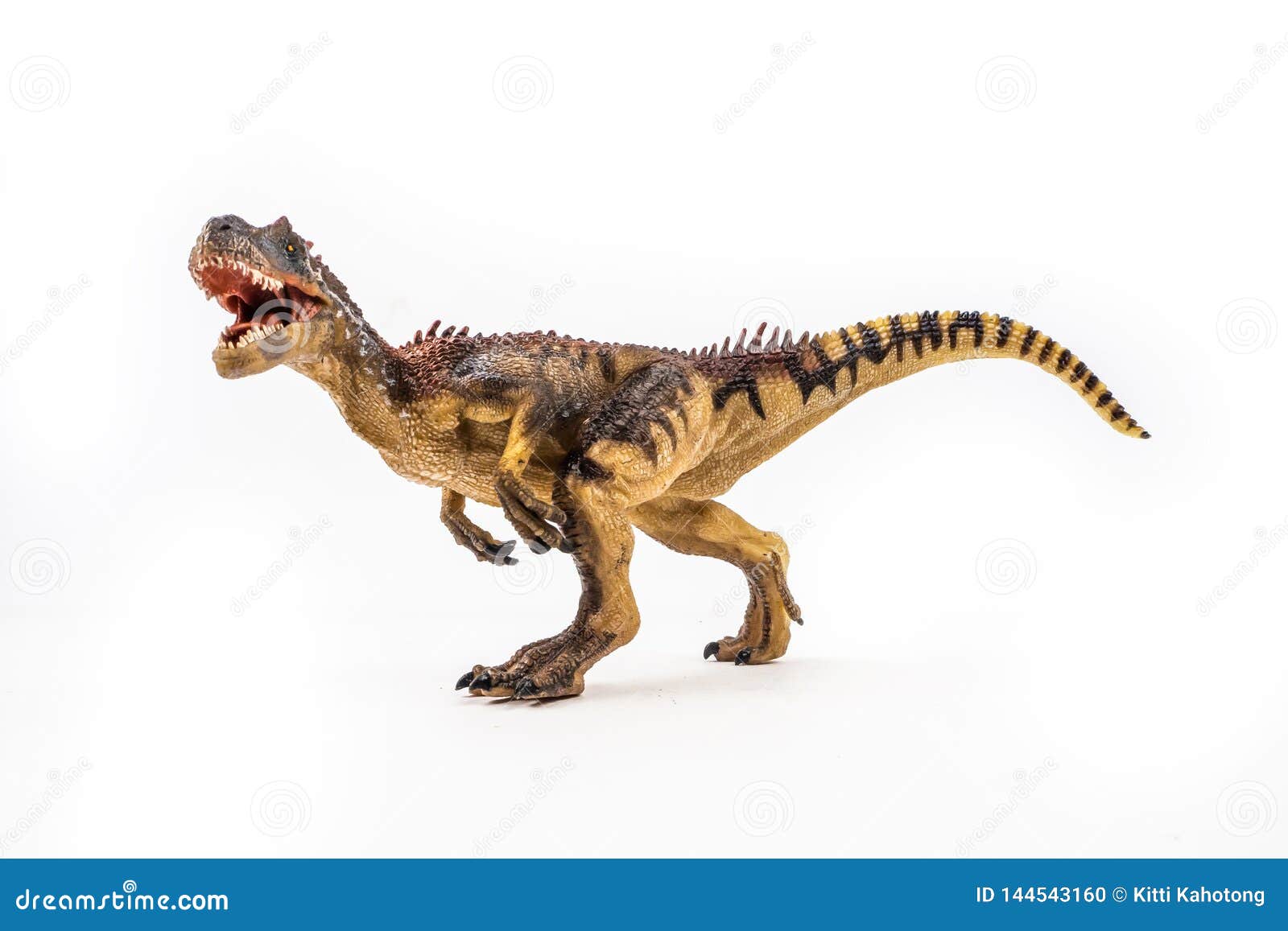 Allosaurus ,dinosaur on White Background Stock Photo - Image of scary ...