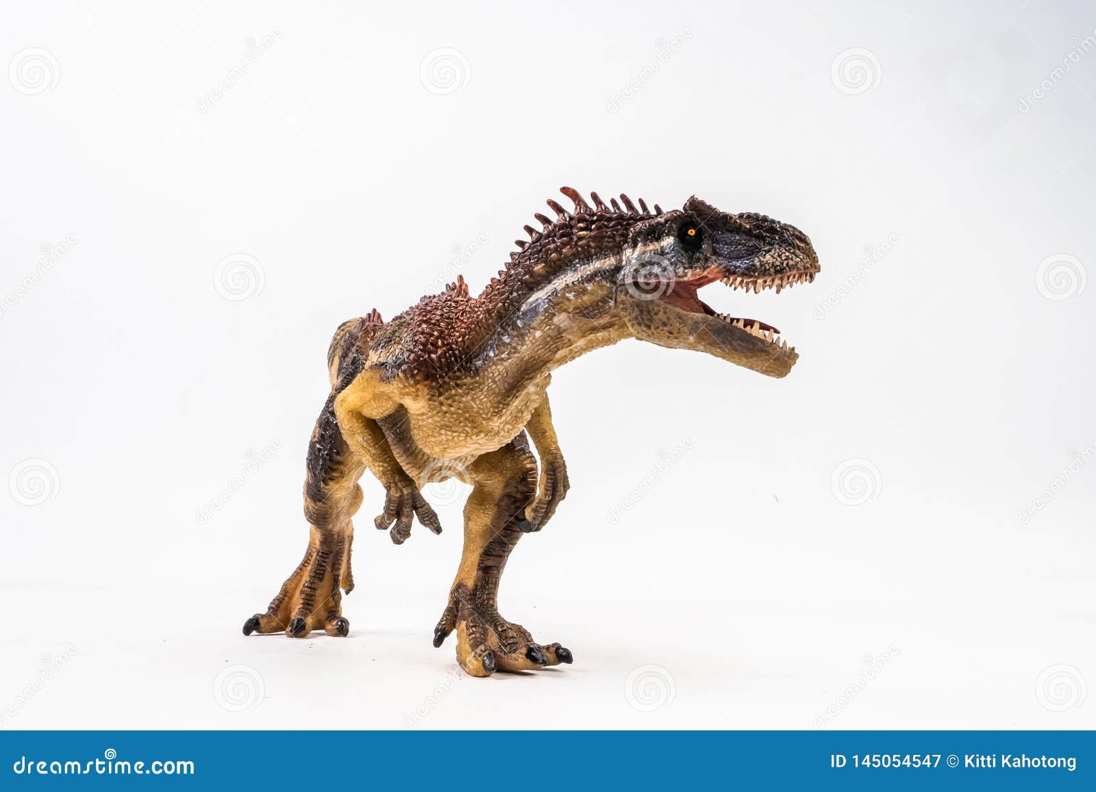 An Allosaurus Dinosaur Against A Black Background Royalty-Free Stock ...