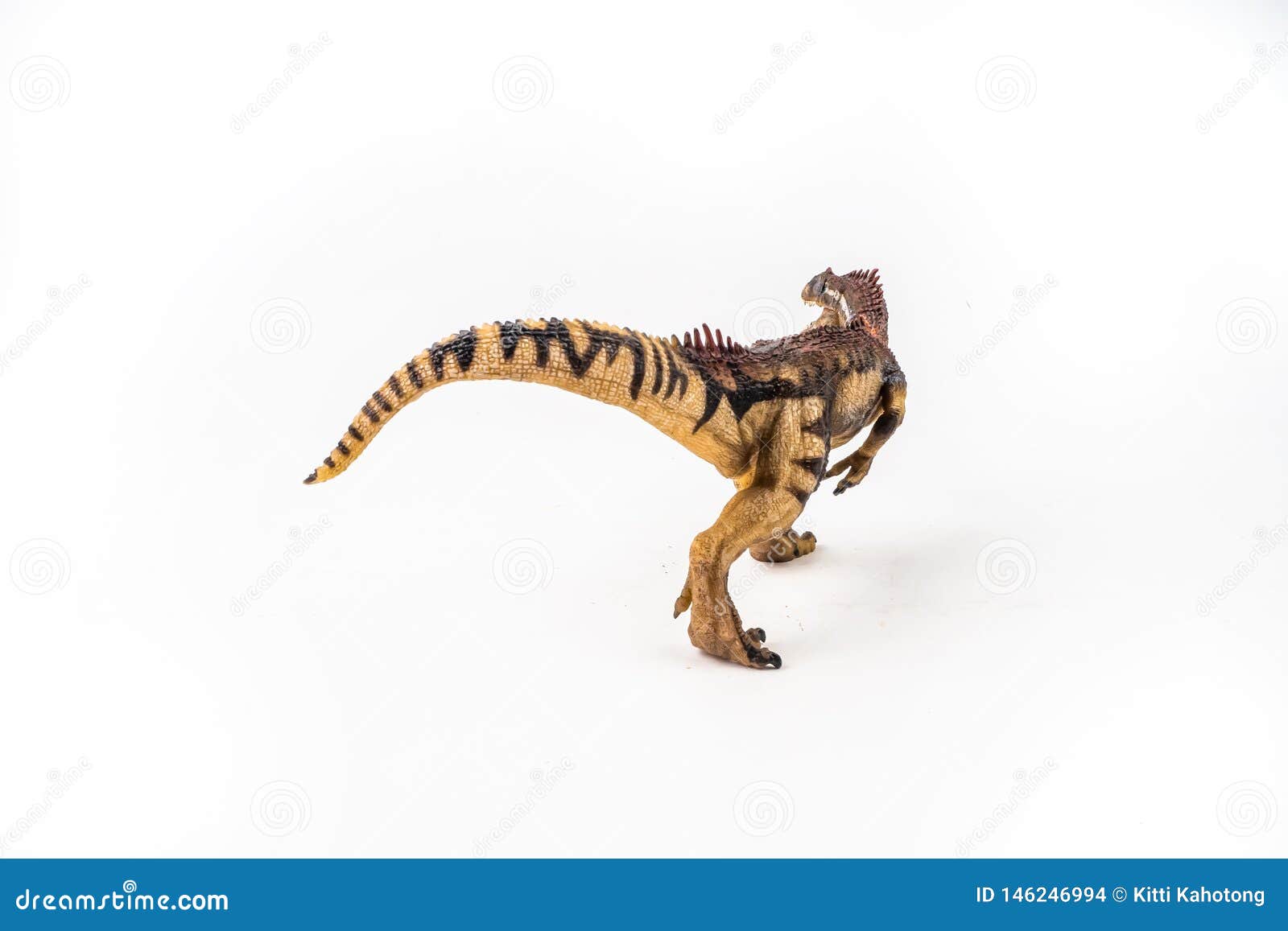 Allosaurus ,dinosaur on White Background Stock Photo - Image of scary ...
