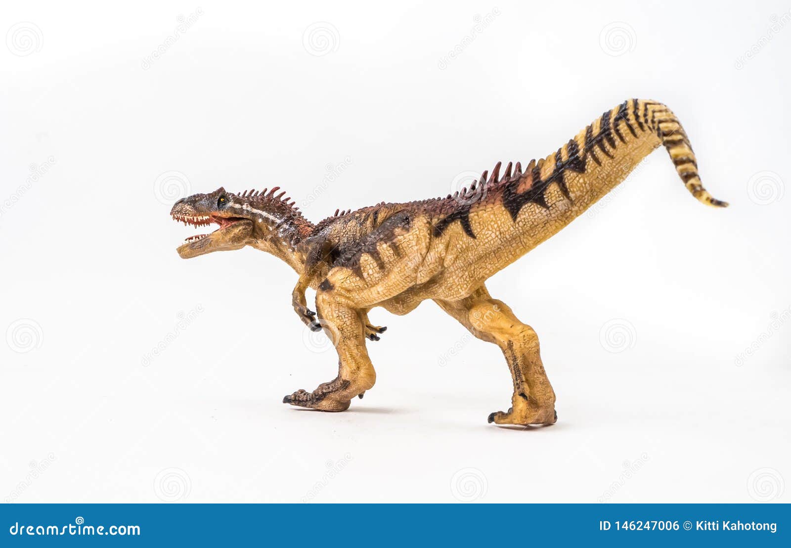 Allosaurus ,dinosaur on White Background Stock Photo - Image of history ...