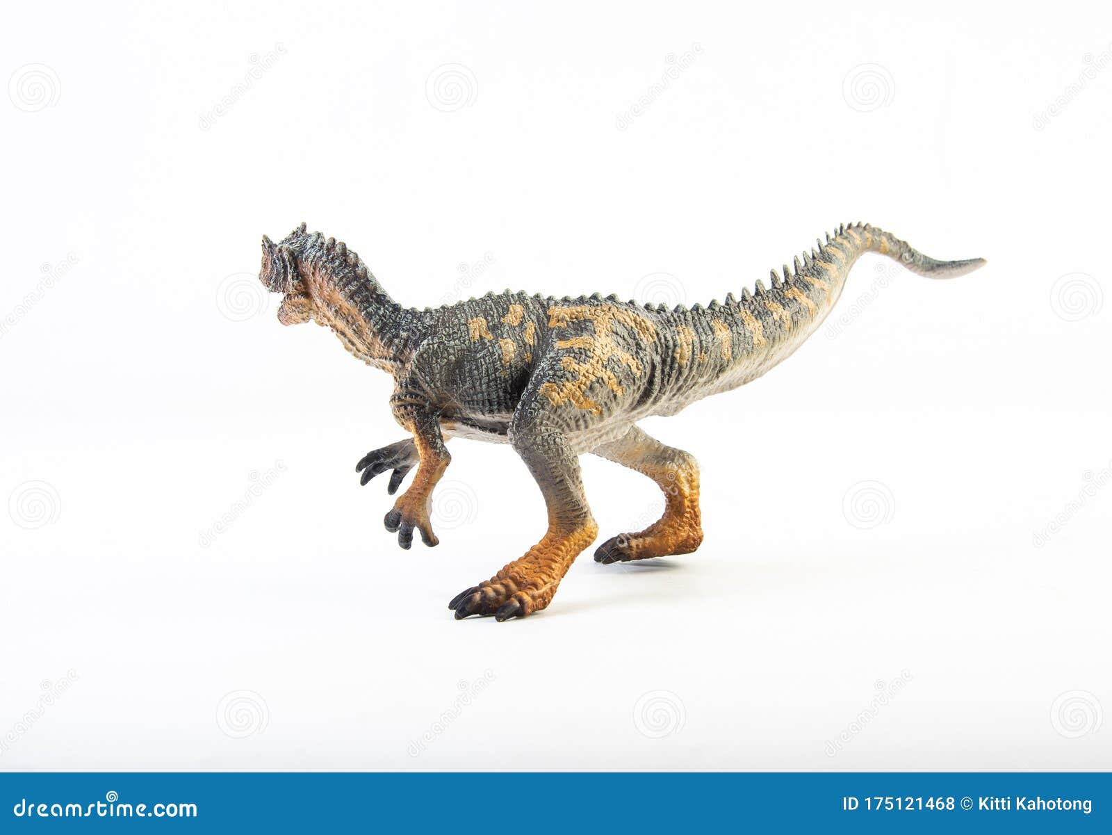 Allosaurus ,dinosaur on White Background Stock Photo - Image of object ...
