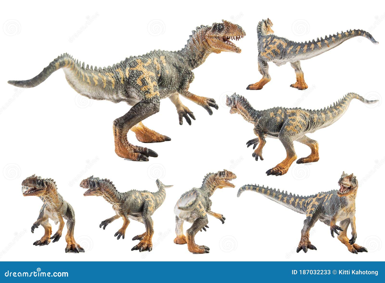 Allosaurus ,dinosaur on White Background Stock Image - Image of ...