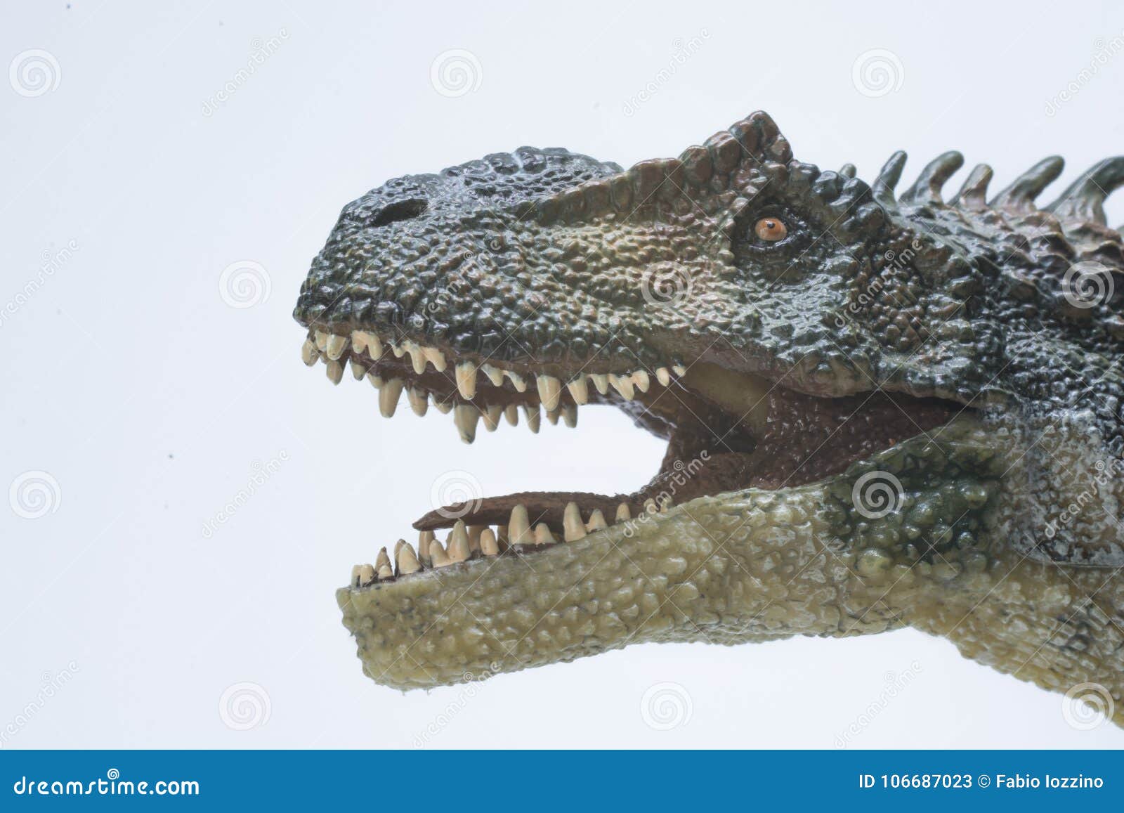 Evil Allosaurus On White Background Royalty-Free Stock Image ...