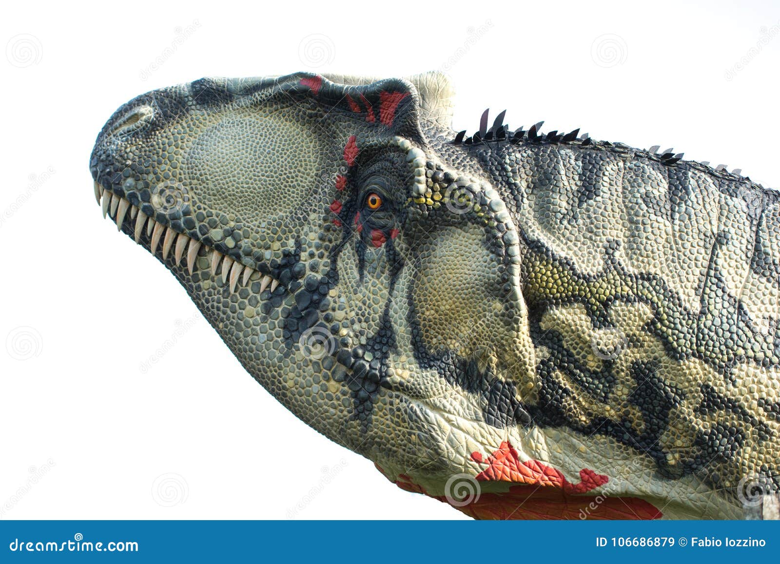 Evil Allosaurus On White Background Royalty-Free Stock Photo ...