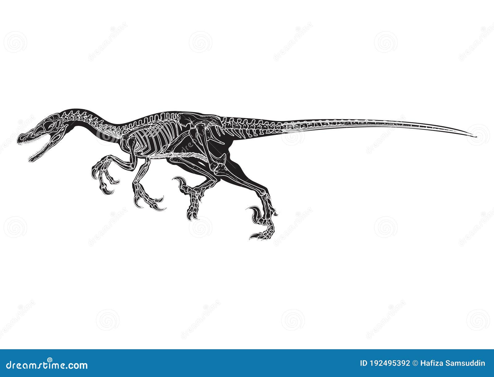 Allosaurus. Vector Illustration Decorative Design Stock Vector ...