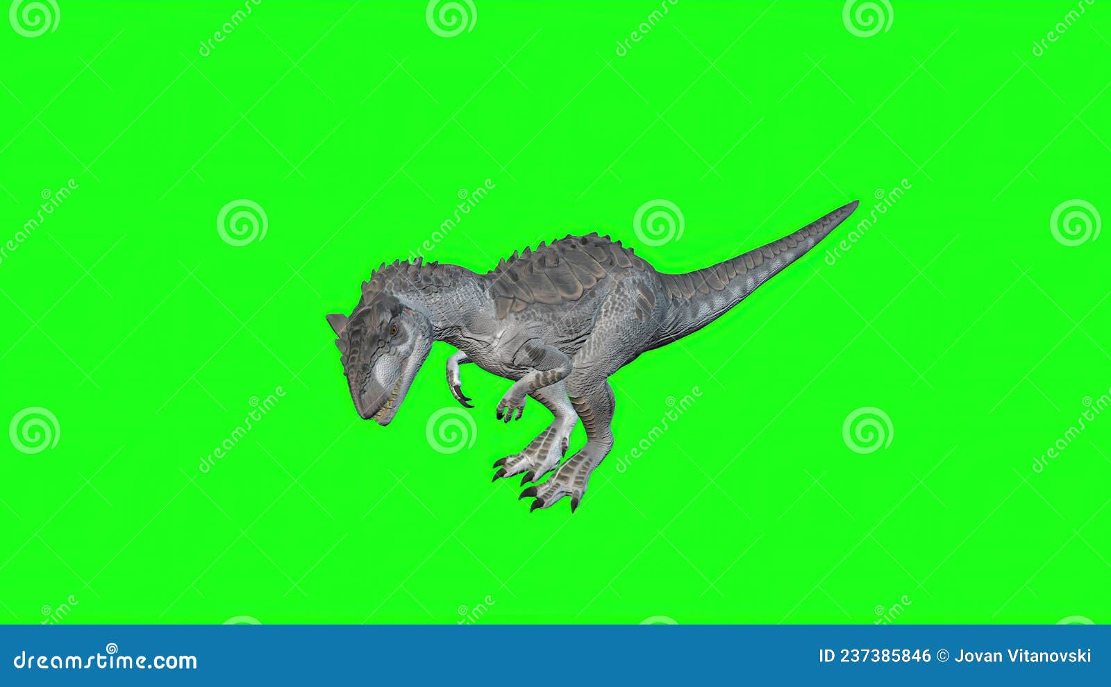 Allosaurus Walking on Green Screen Background. World of Dinosaurs Stock ...