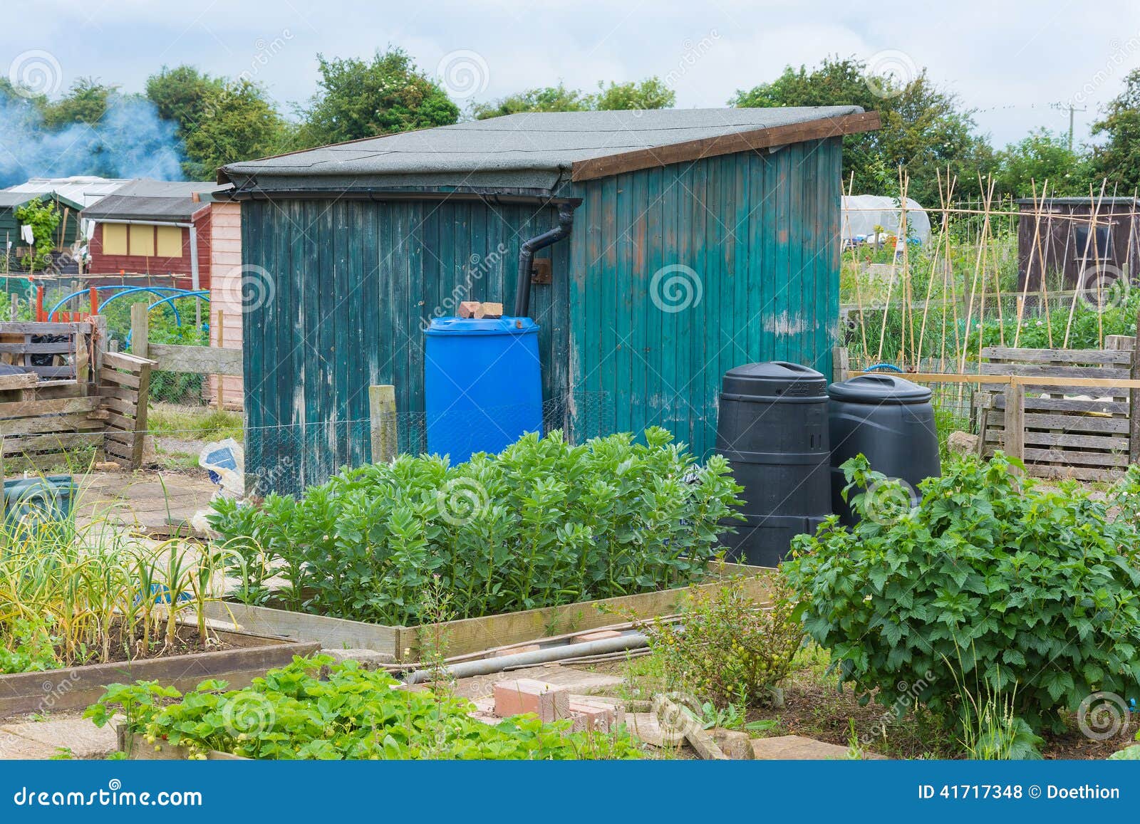 Allotment Shed with Compost Bins and Water Stock Photo - Image of waste ...
