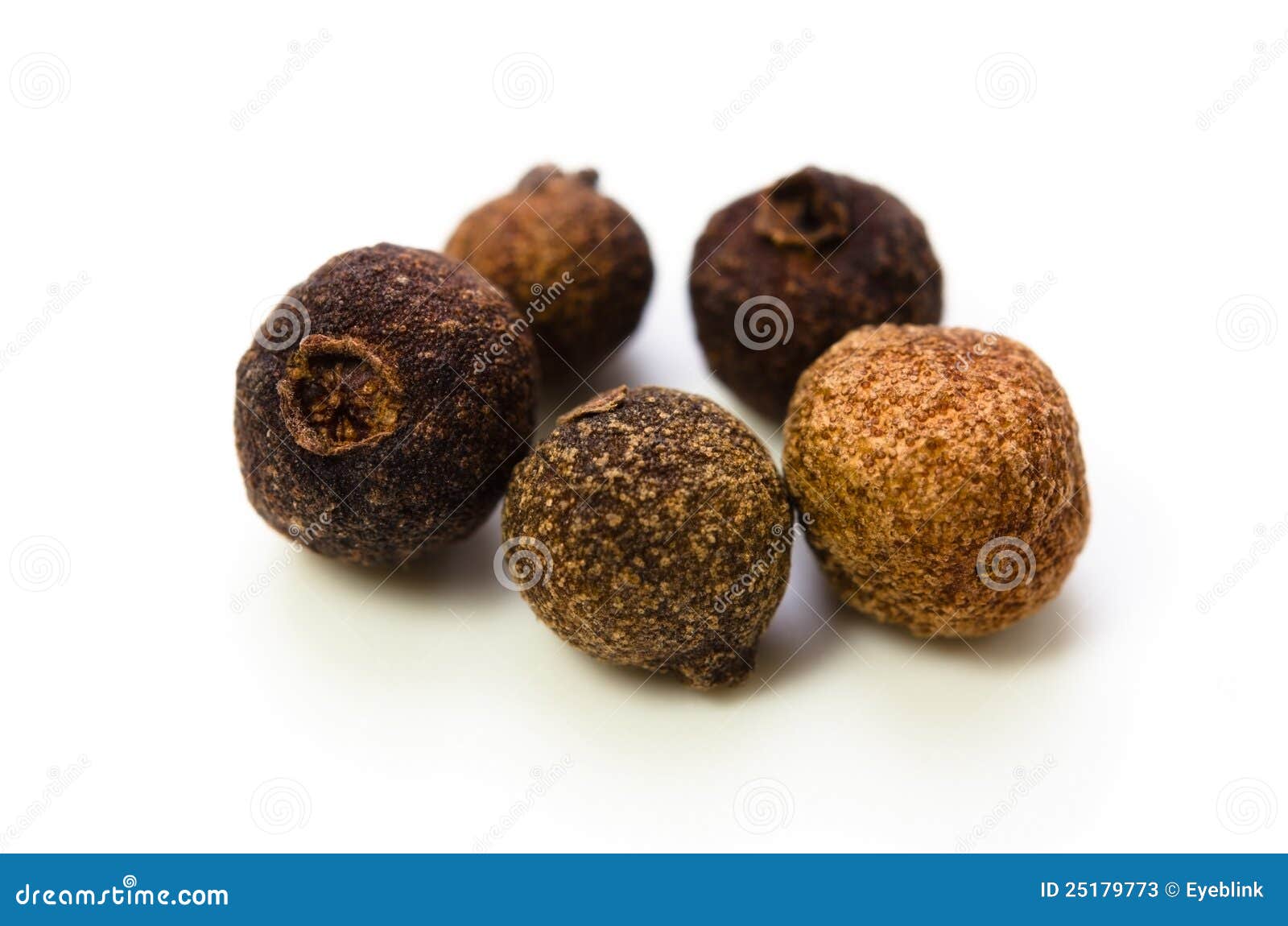 Allspice stock image. Image of plant, herb, fresh, piment - 25179773