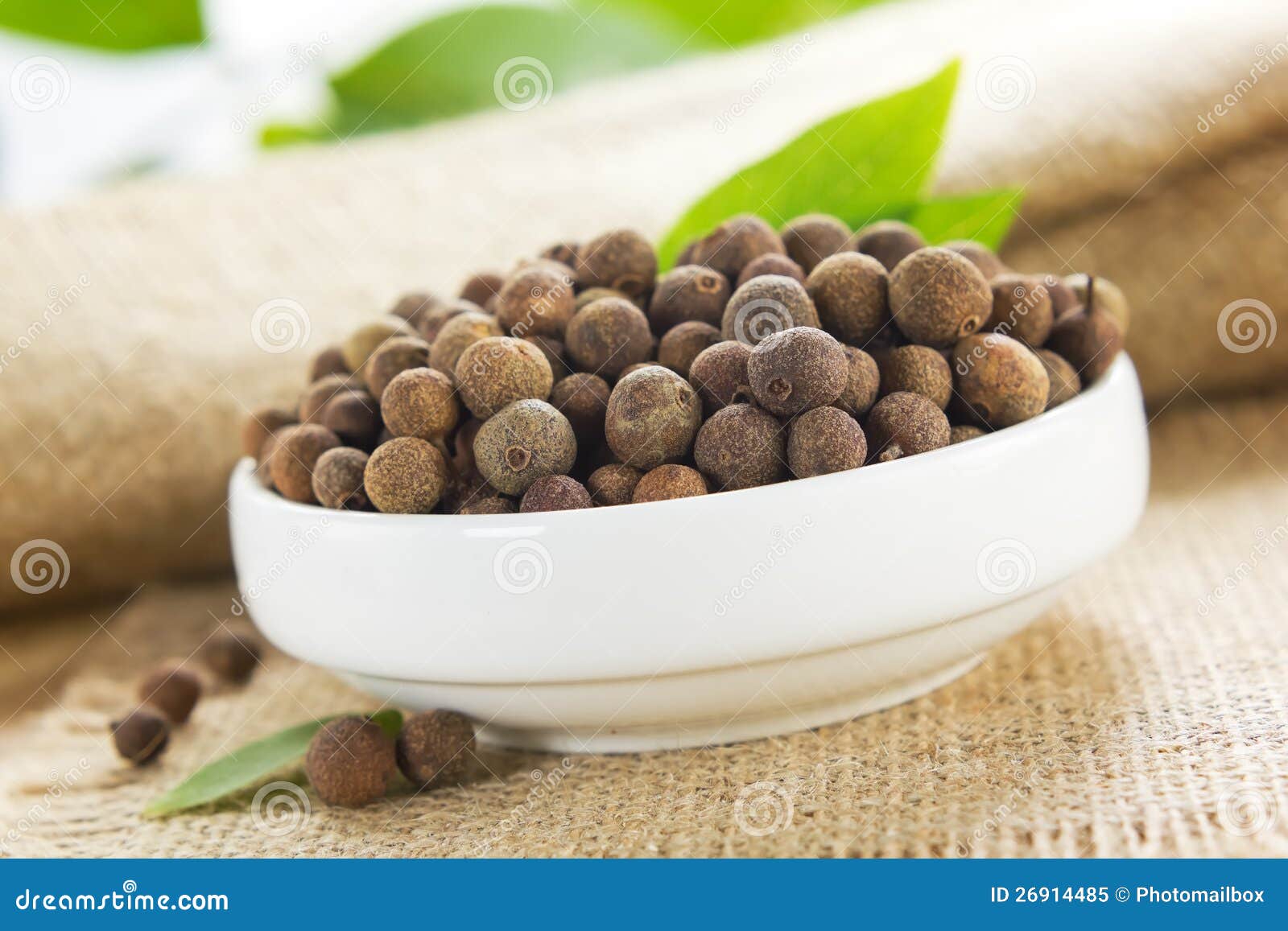 Allspice stock image. Image of cuisine, detail, home - 26914485