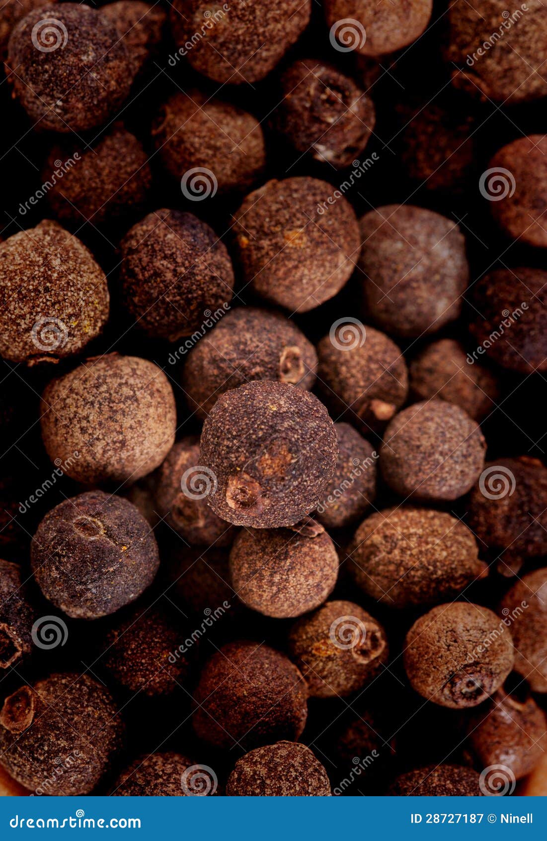 Allspice stock image. Image of gourmet, healthy, culinary - 28727187