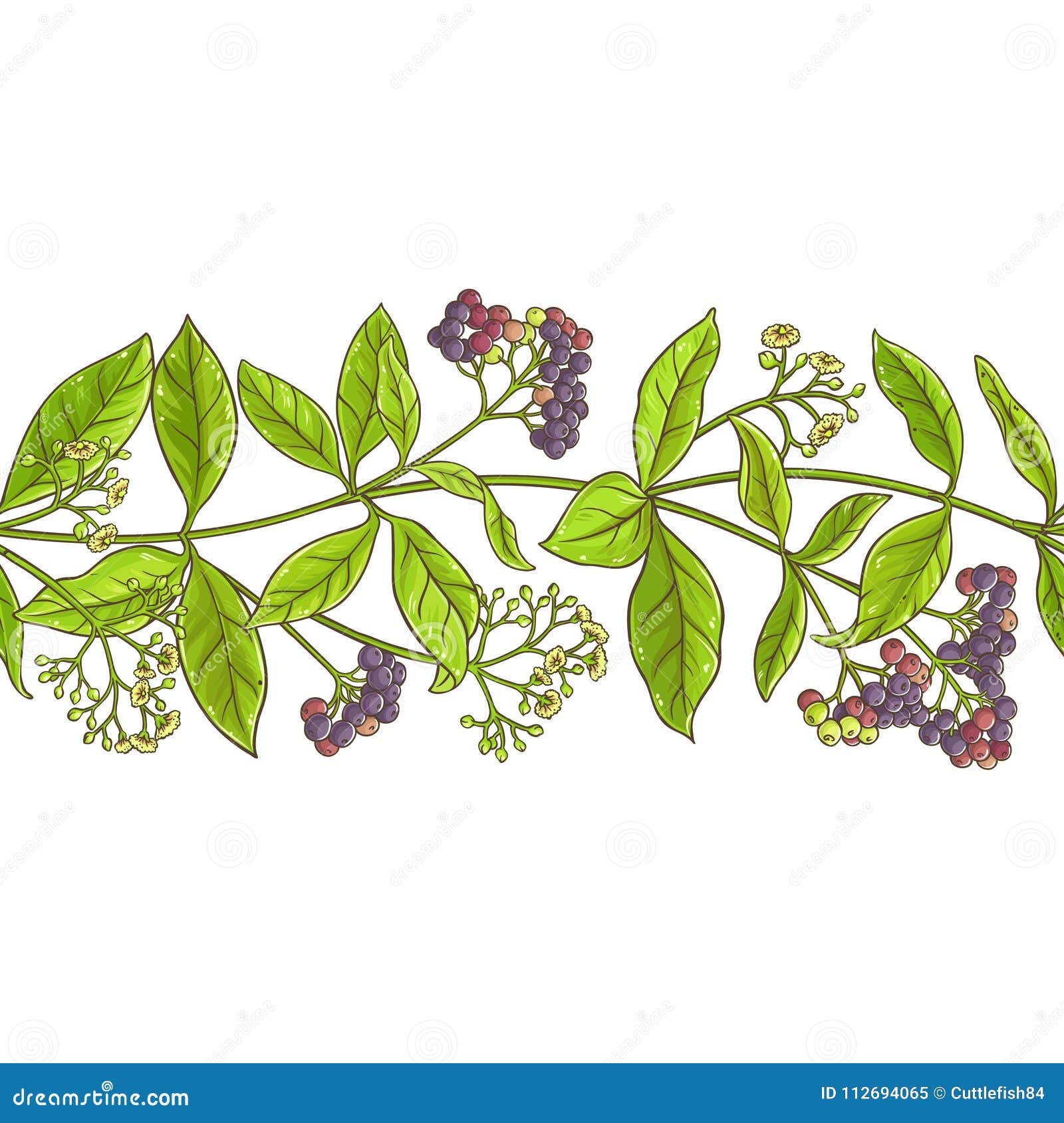 Allspice Branch Outline Circular Frame Cartoon Vector | CartoonDealer ...