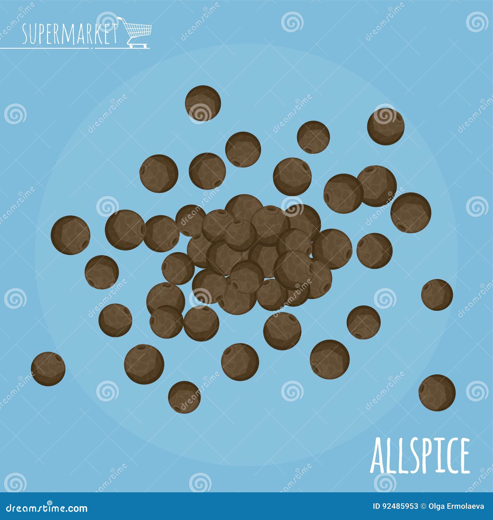 Allspice - Vector Illustration In Flat Design Isolated On White ...
