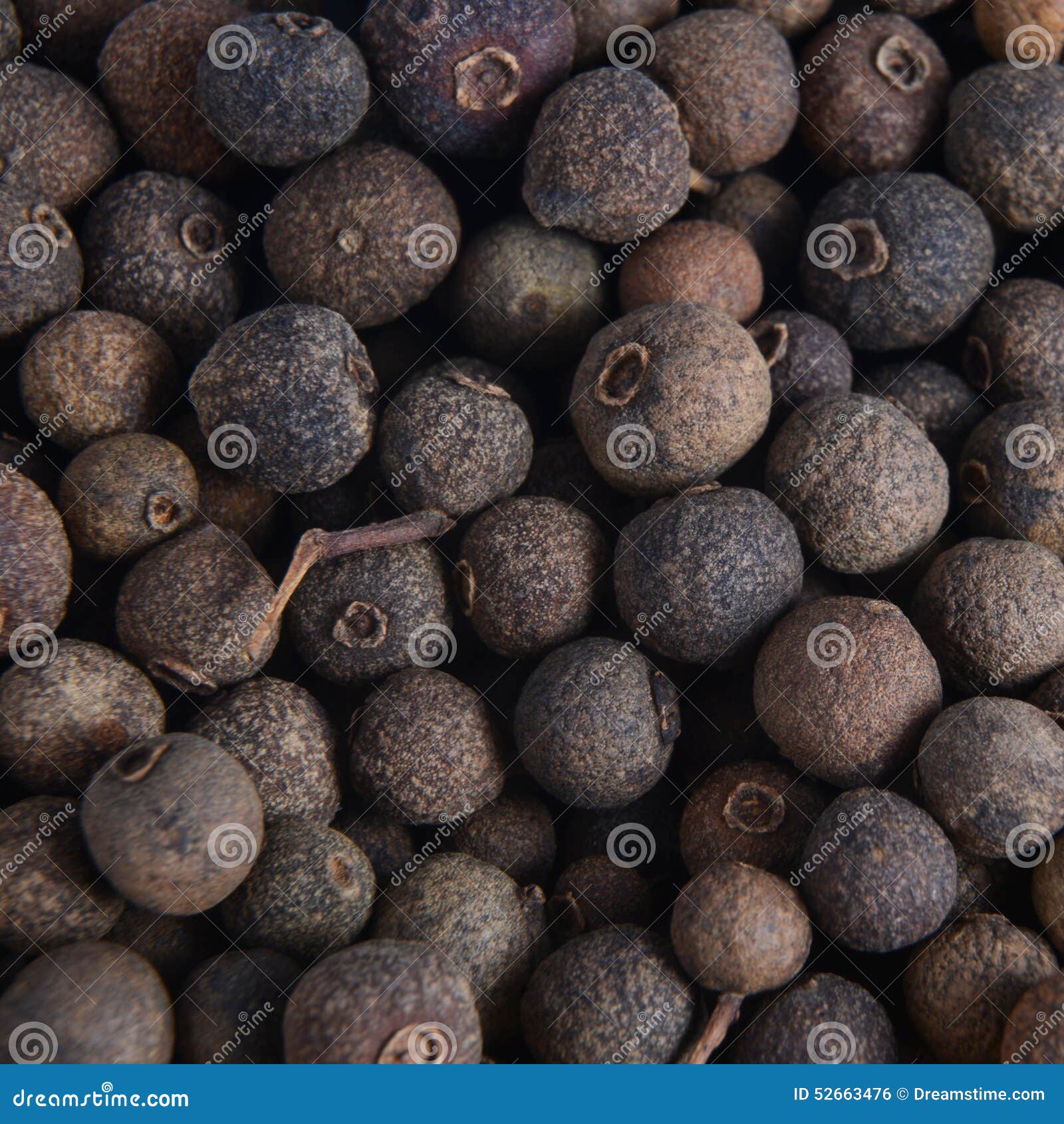 Allspice stock photo. Image of allspice, spices, ingredient - 52663476