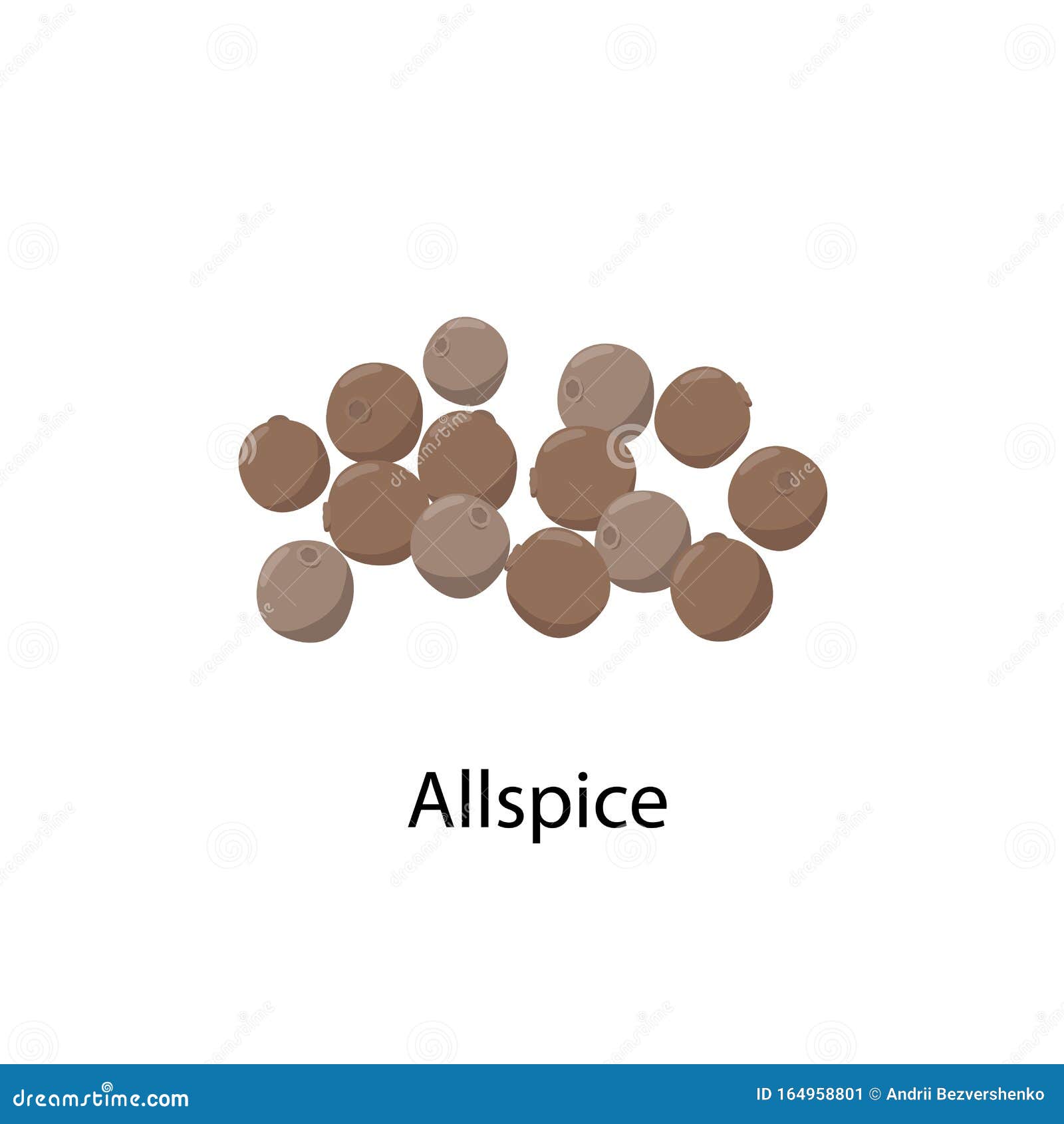 Allspice - Vector Illustration in Flat Design Isolated on White ...