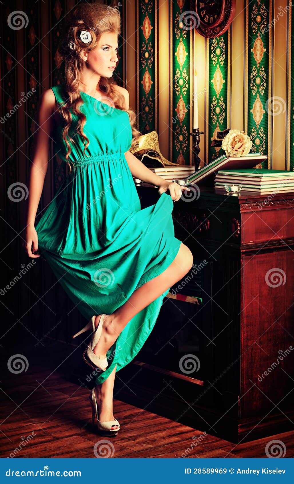 Alluring lady stock image. Image of dress, female, elegant - 28589969