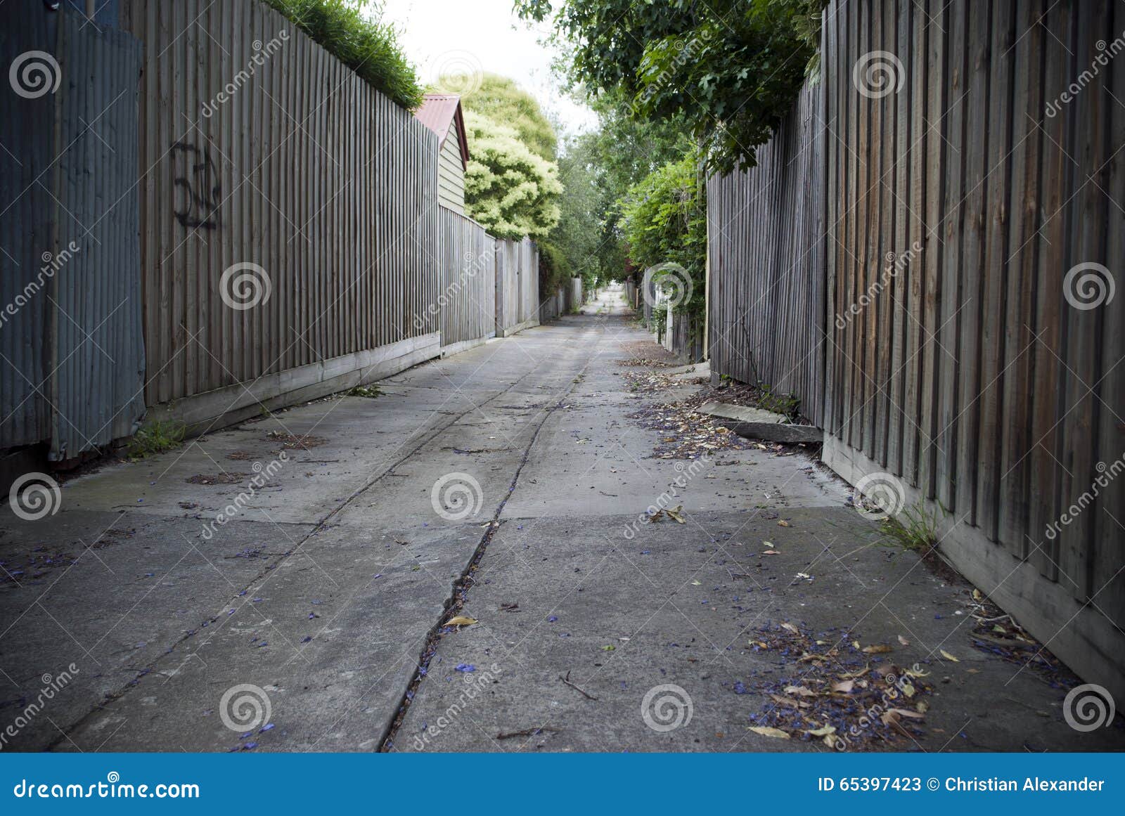 Alleyway stock image. Image of timber, suburbia, road - 65397423