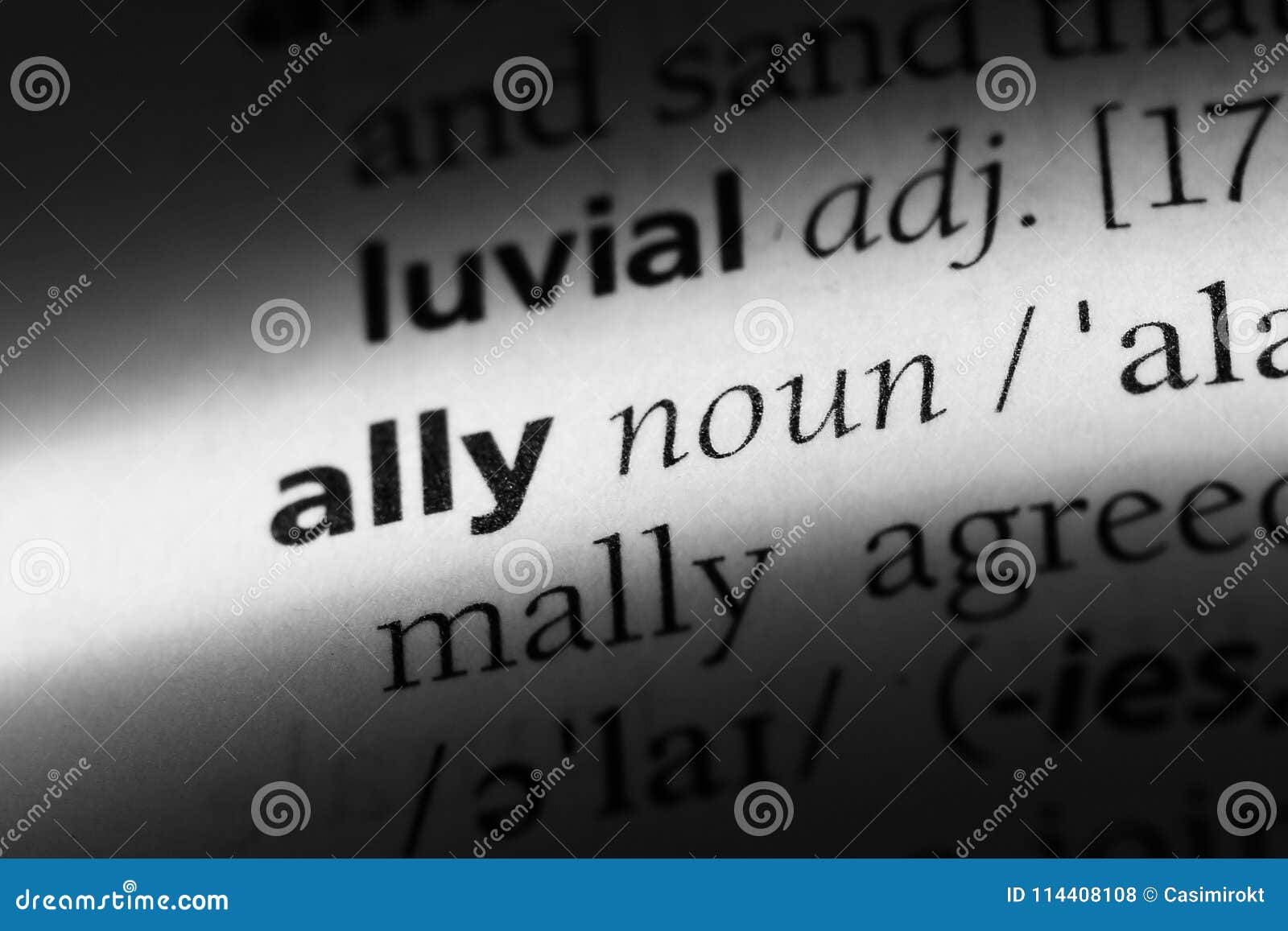 Ally stock photo. Image of book, closeup, idea, definition - 114408108