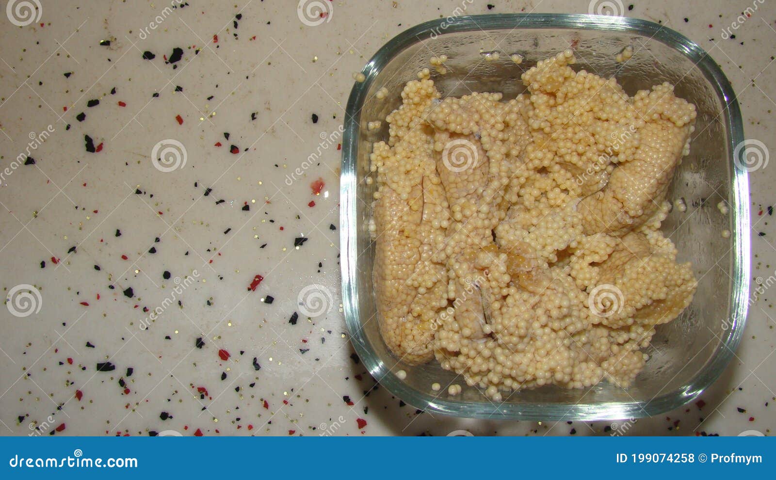 Almas Caviar , Very Rare and Exclusive Caviar ! Stock Photo - Image of ...