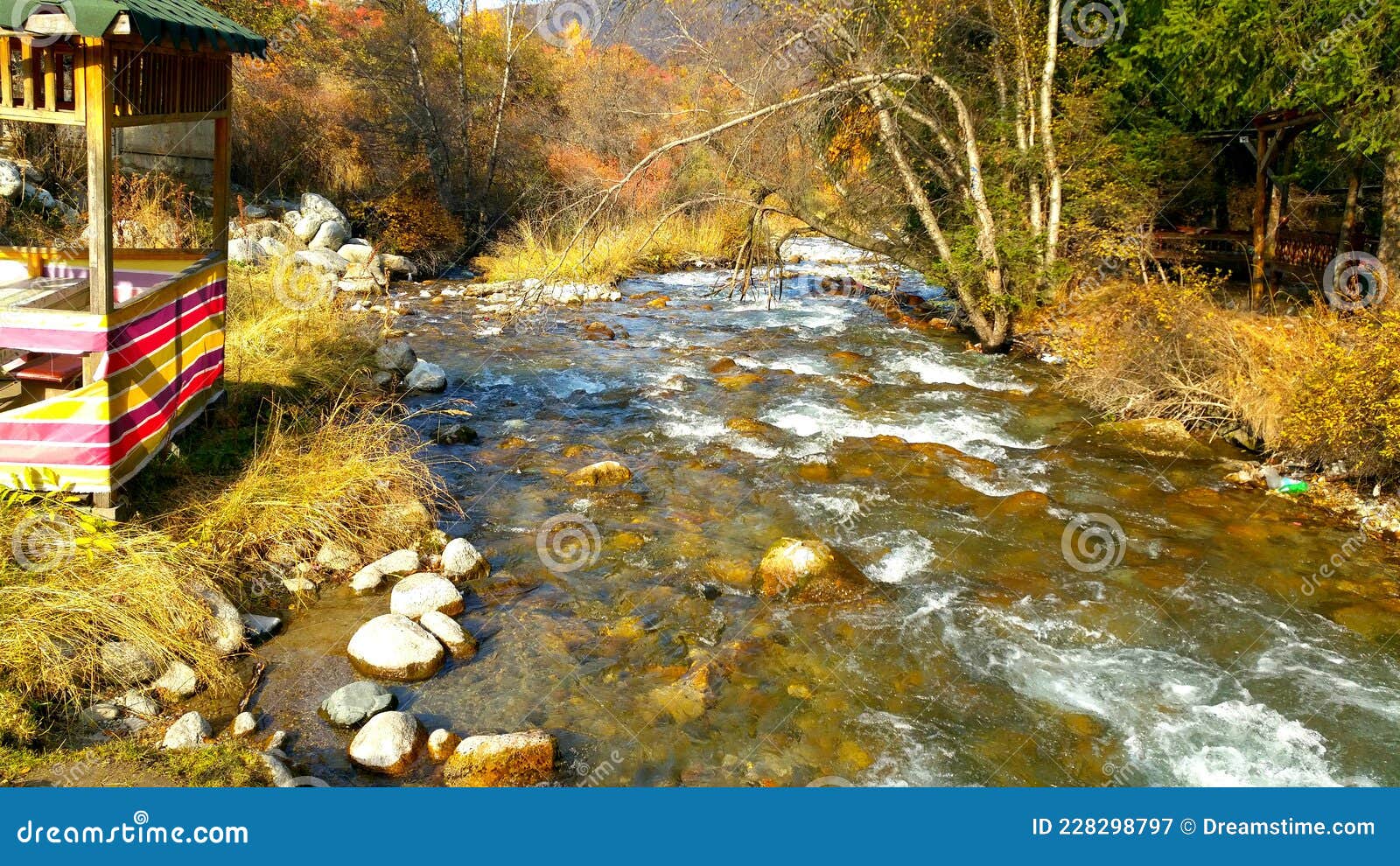 Almaty Almarasan Kazahstan Forest River Stock Image - Image of water ...