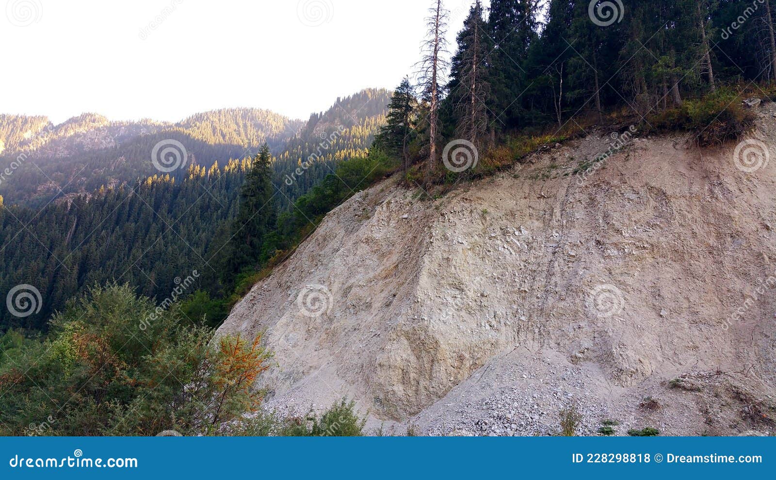 Almaty Almarasan Kazahstan Forest River Stock Photo - Image of tree ...