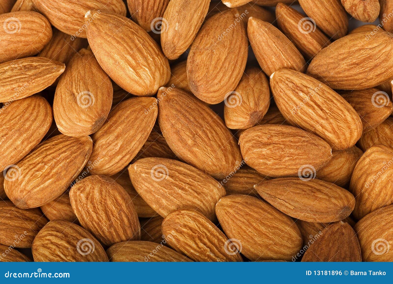 Almendra foto de archivo. Imagen de almendras, partido - 13181896