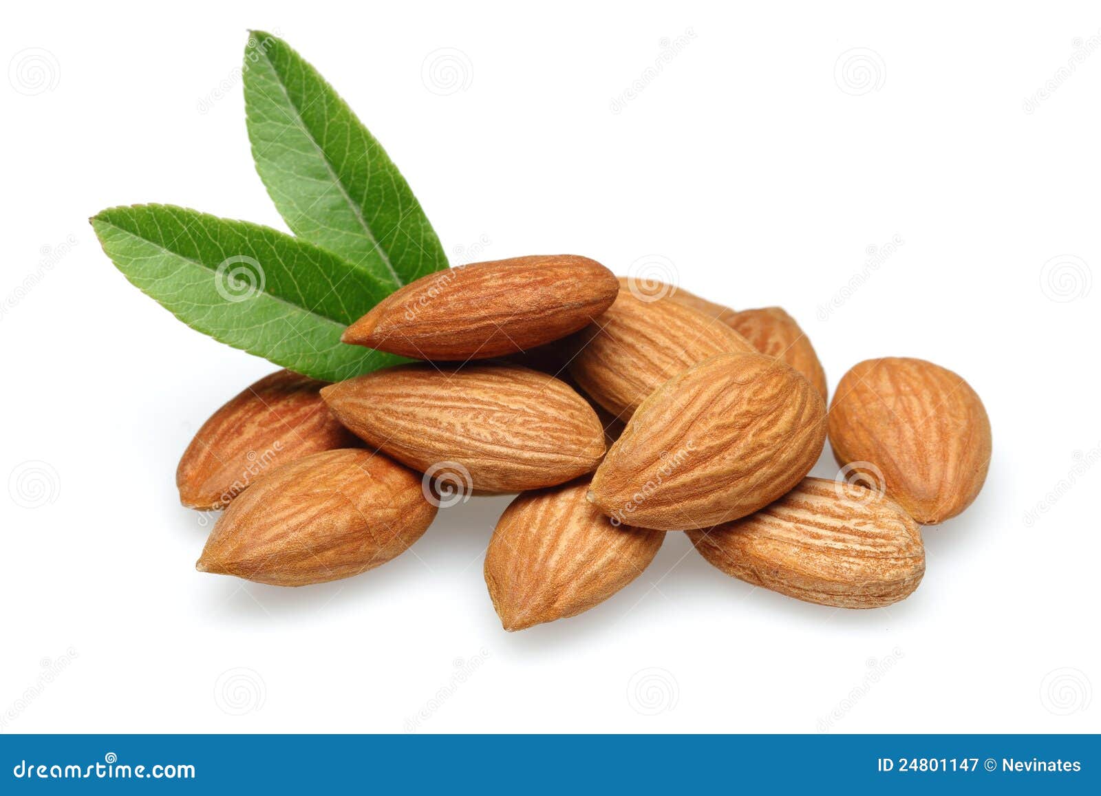 Almendra imagen de archivo. Imagen de frutas, cierre - 24801147