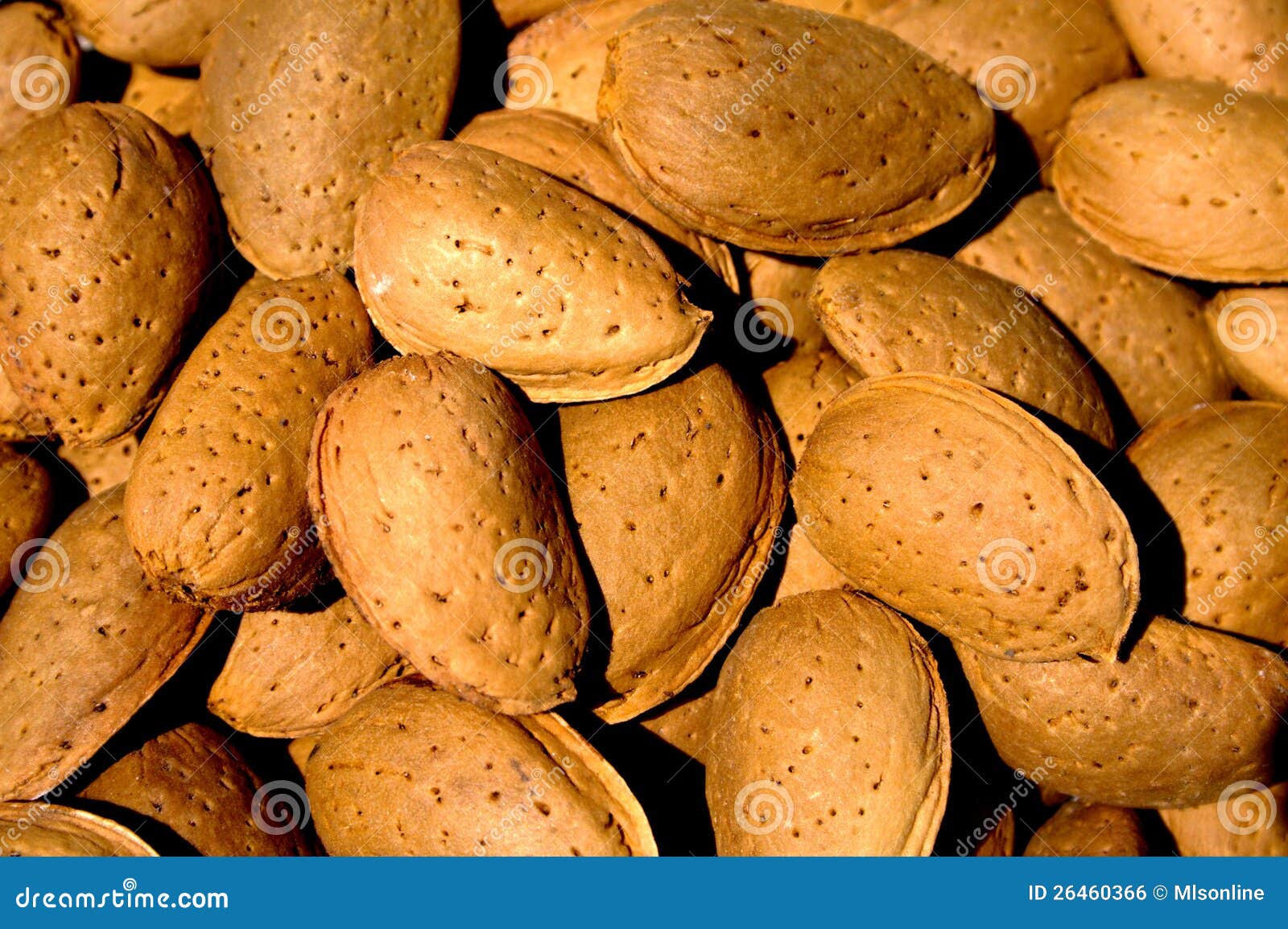 Almendras foto de archivo. Imagen de mitades, cosecha - 26460366