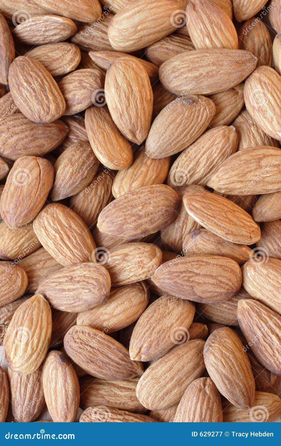 Almendras imagen de archivo. Imagen de bocado, germen, ingrediente - 629277