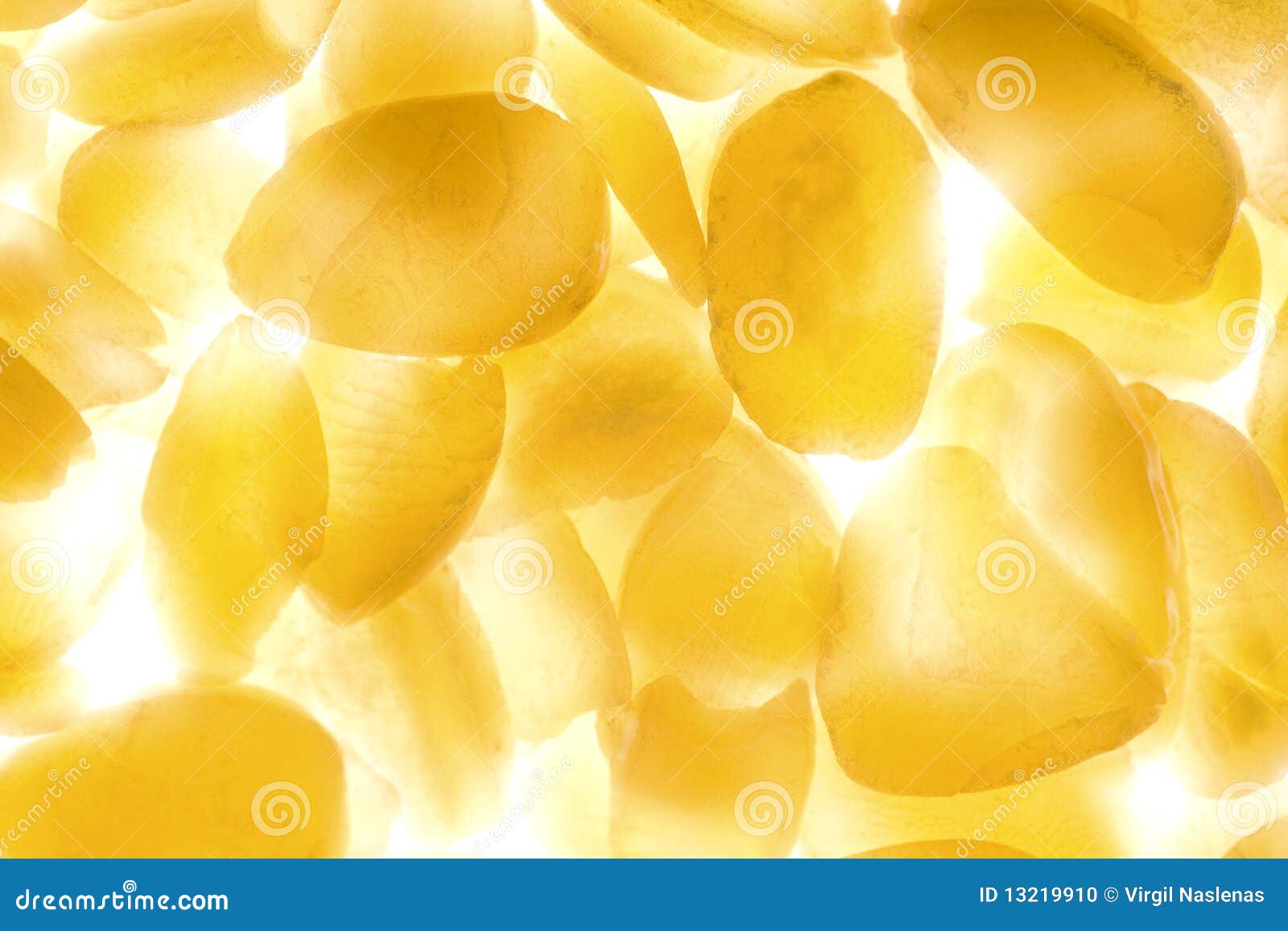 Almendras rebanadas foto de archivo. Imagen de aislado - 13219910