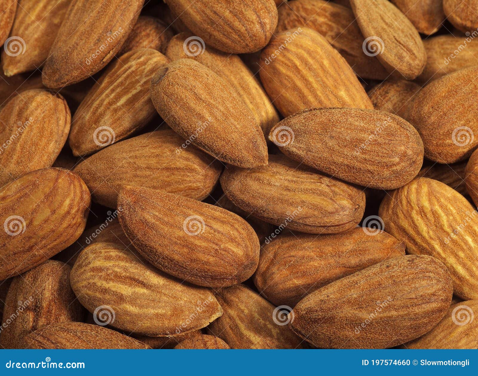 Almendras Secas Prunus Dulcis Foto de archivo - Imagen de almendra ...