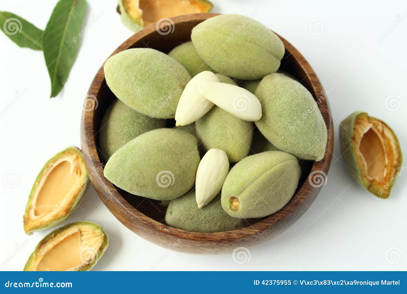 Almendras verdes frescas imagen de archivo. Imagen de fondo - 42375955