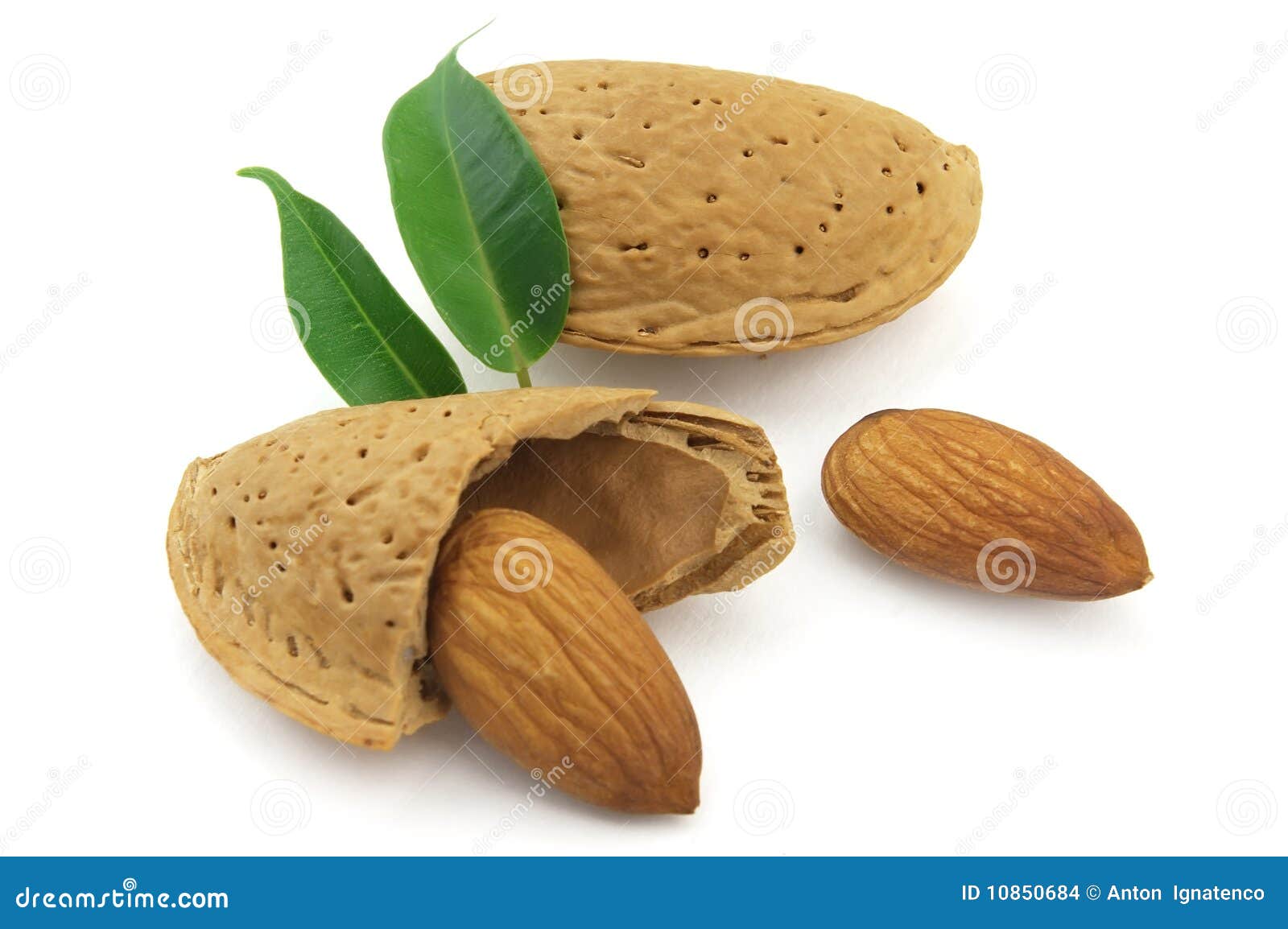 Almond stock photo. Image of color, object, diet, nature - 10850684