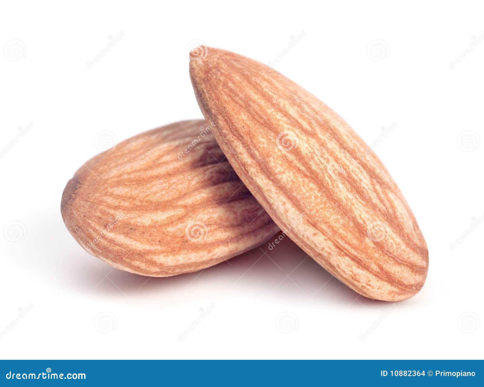 Almond stock photo. Image of ingredient, nature, healthy - 10882364