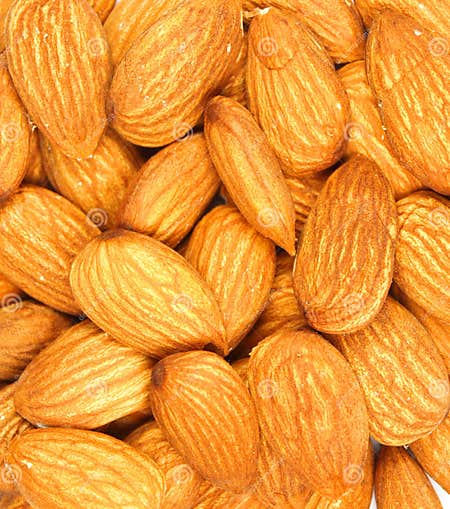 Almond stock photo. Image of lifestyle, abstract, color - 11484402