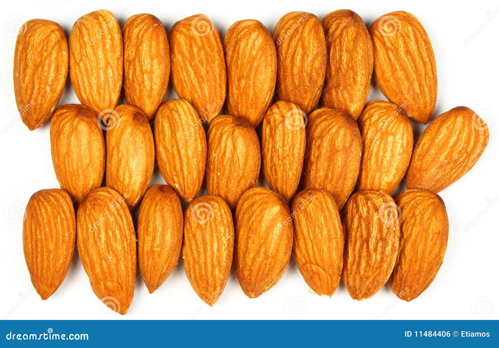 Almond stock photo. Image of harvest, natural, agriculture - 11484406
