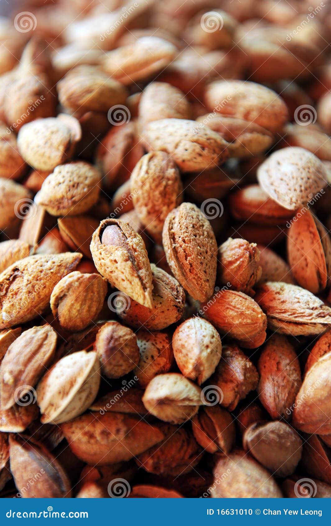 Almond stock photo. Image of food, organic, healthy, snack - 16631010