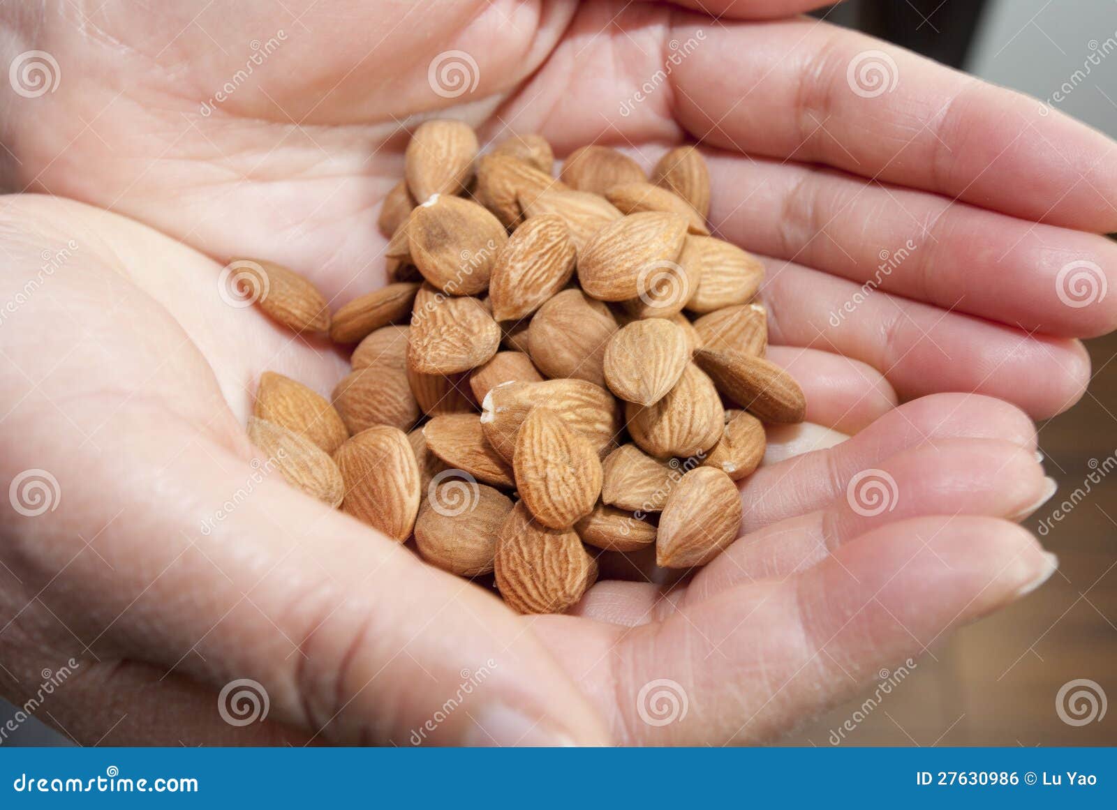 Almond stock photo. Image of natural, hand, party, almonds - 27630986