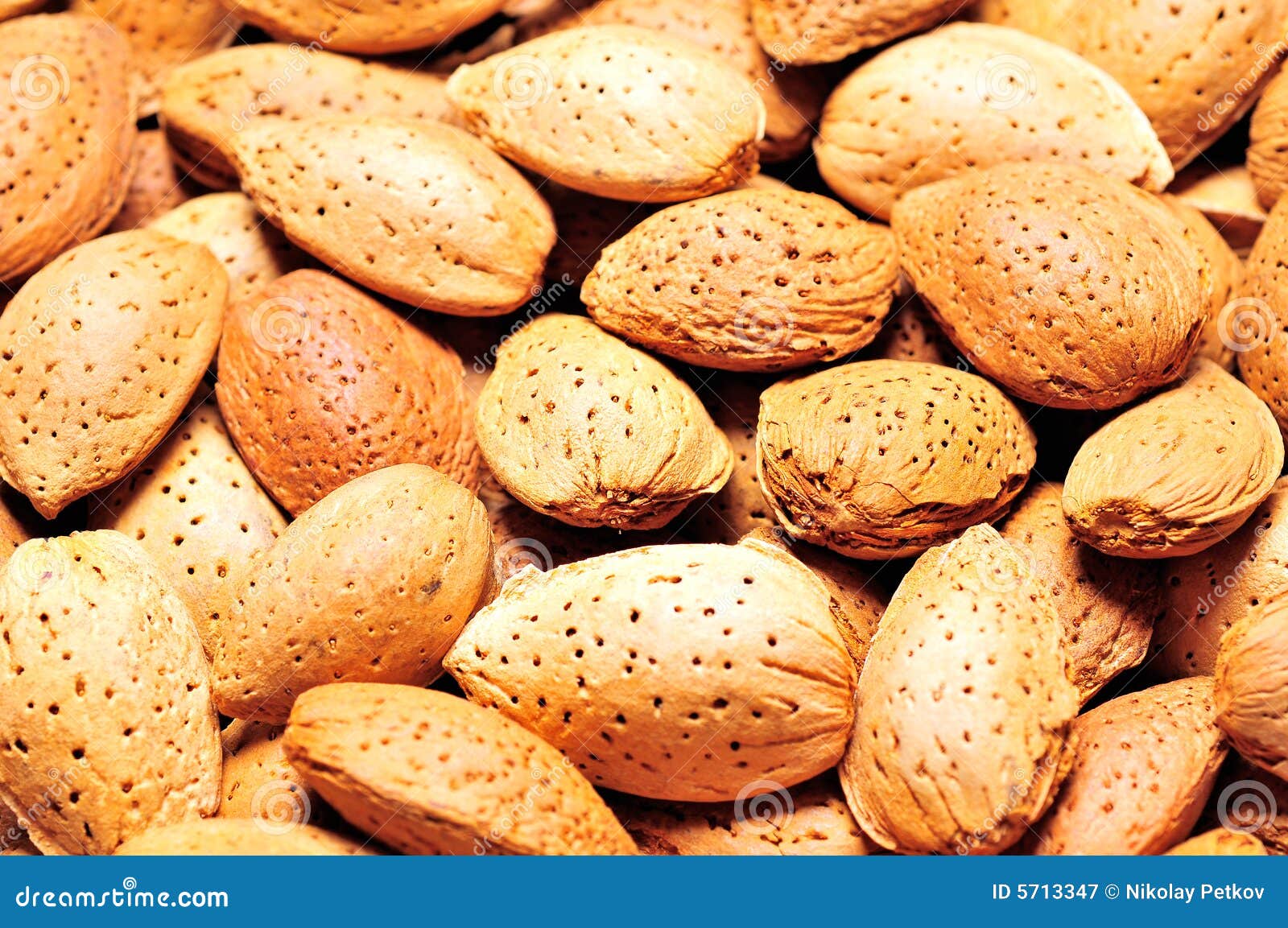 Almond stock image. Image of healthy, closeup, health - 5713347