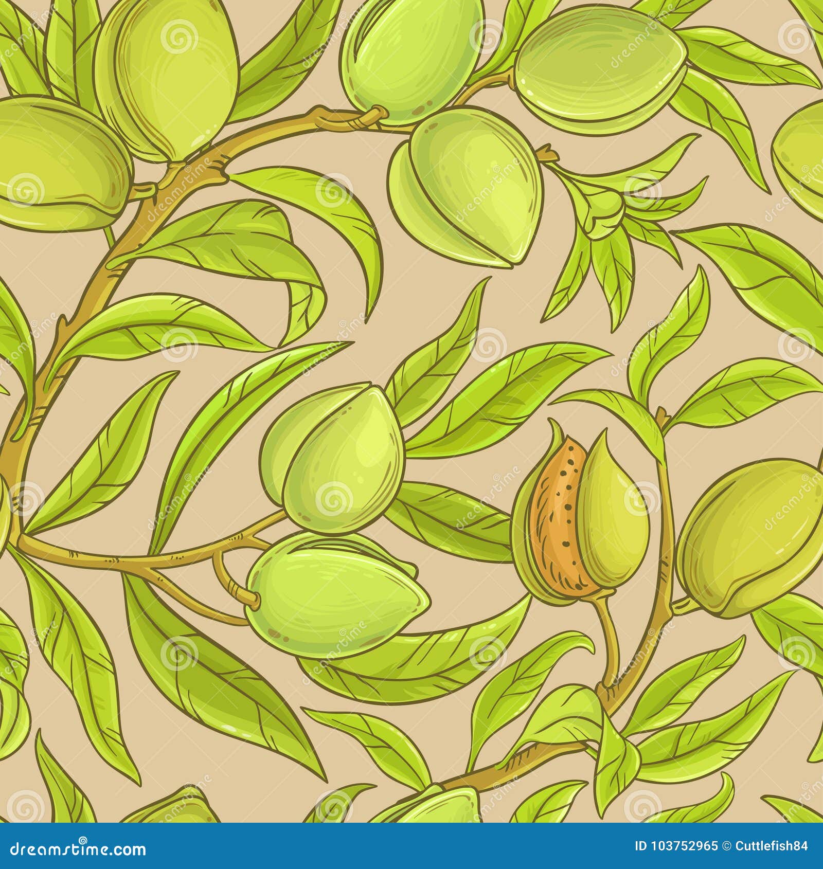 Almond vector pattern stock vector. Illustration of fresh - 103752965