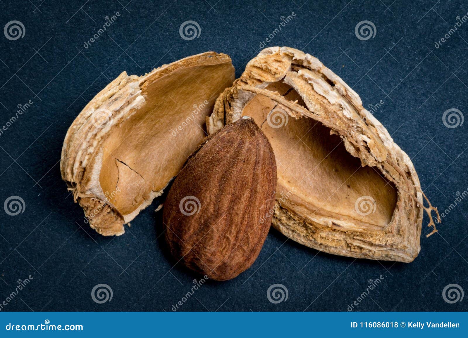 Almond and Broken Shell stock photo. Image of effect - 116086018