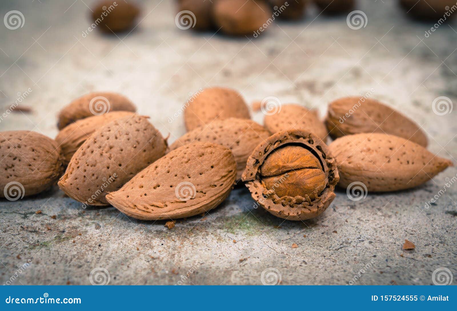 Almonds stock image. Image of croatia, fresh, cracked - 157524555