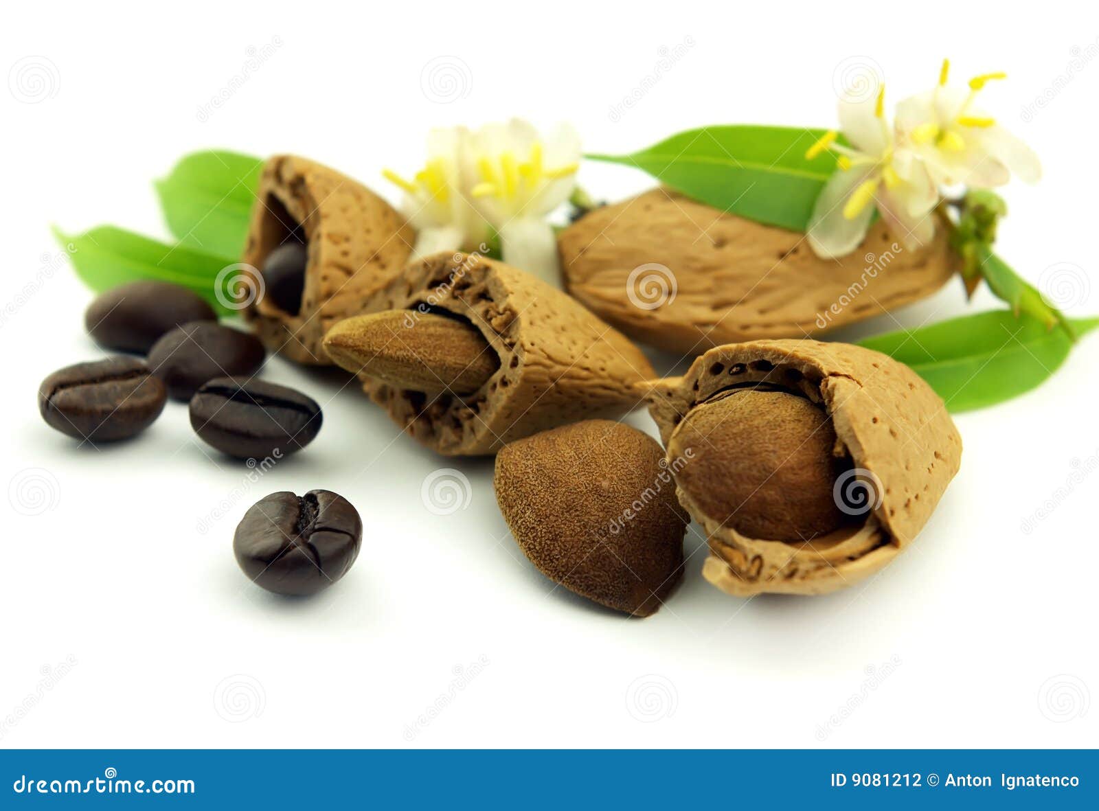Almond and coffee stock photo. Image of amande, spring - 9081212