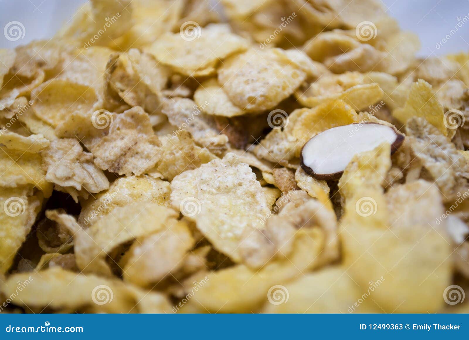 Almond Cornflake Cereal stock image. Image of nutrition - 12499363