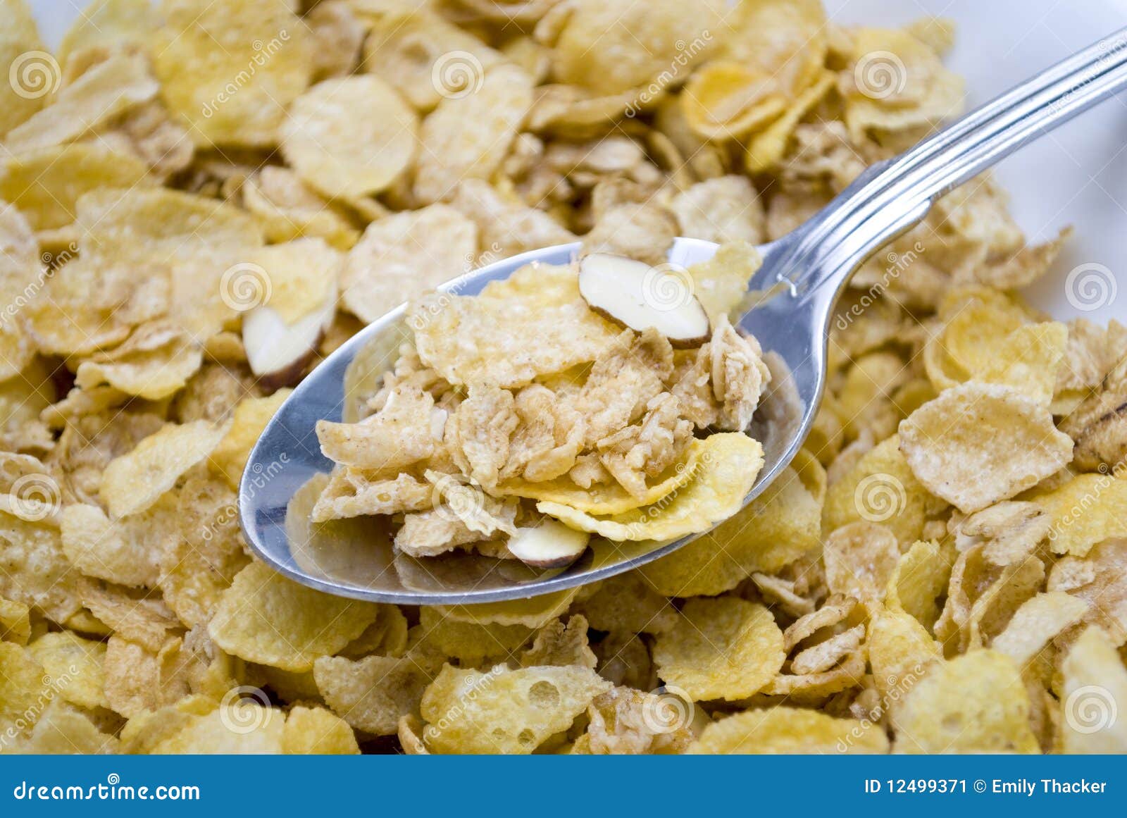 Almond Cornflake Cereal stock image. Image of diet, brown - 12499371