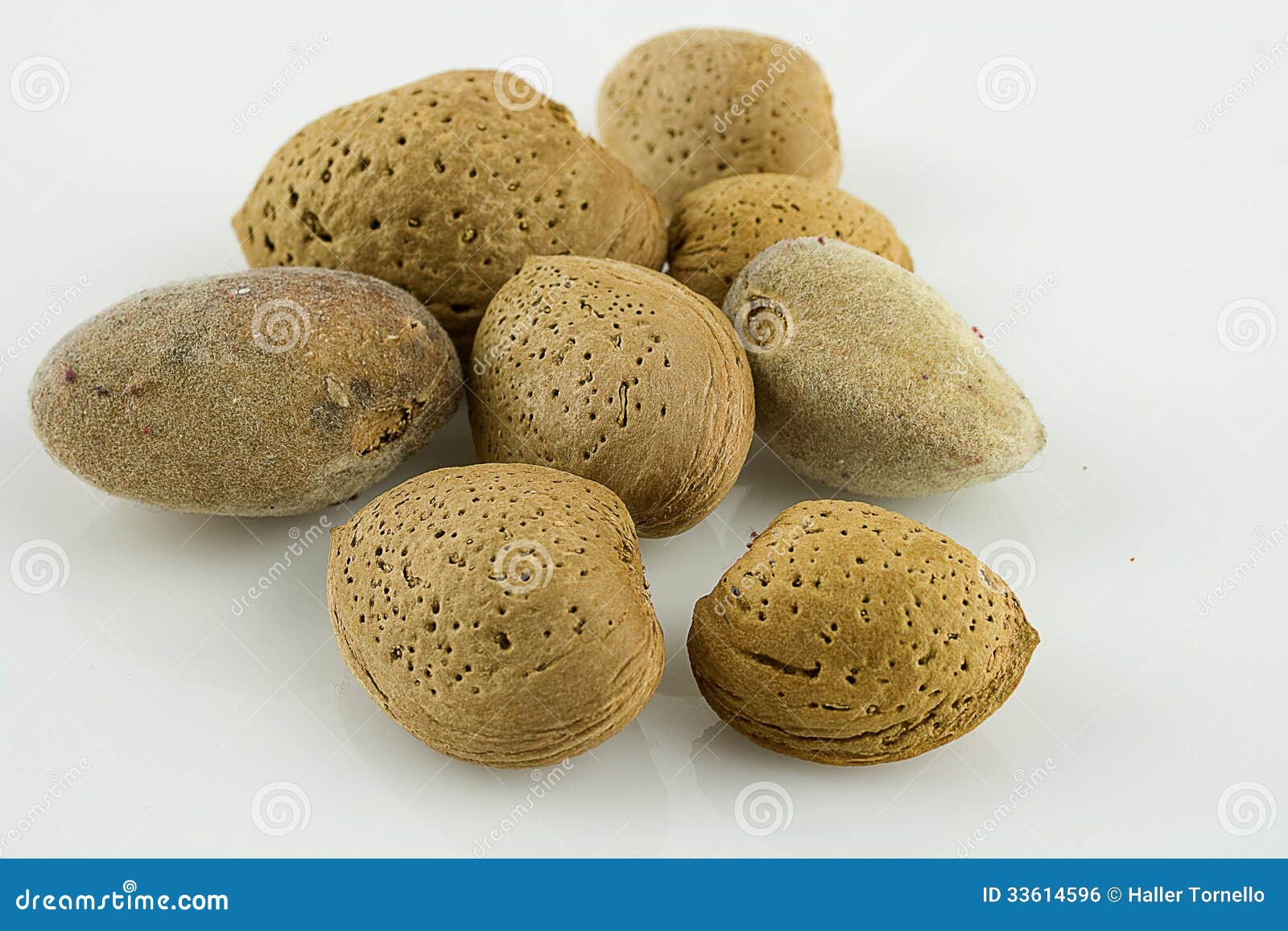 Almond stock photo. Image of fruit, produce, food, almond - 33614596